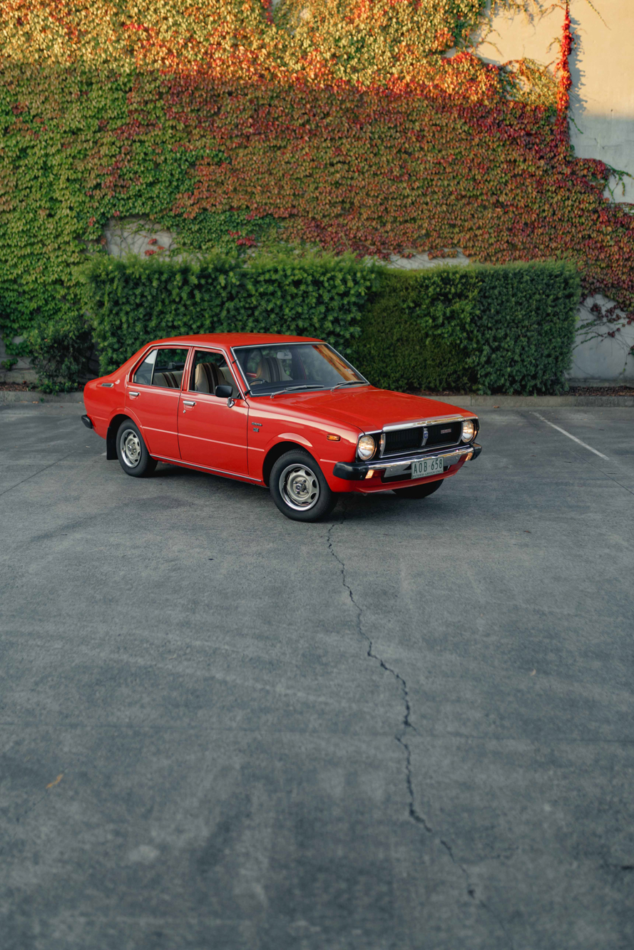 1979 TOYOTA COROLLA CS - 31,239 KM for sale by auction in Nunawading ...