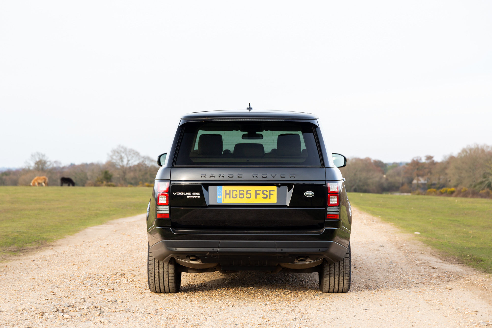 2015 RANGE ROVER VOGUE SDV8