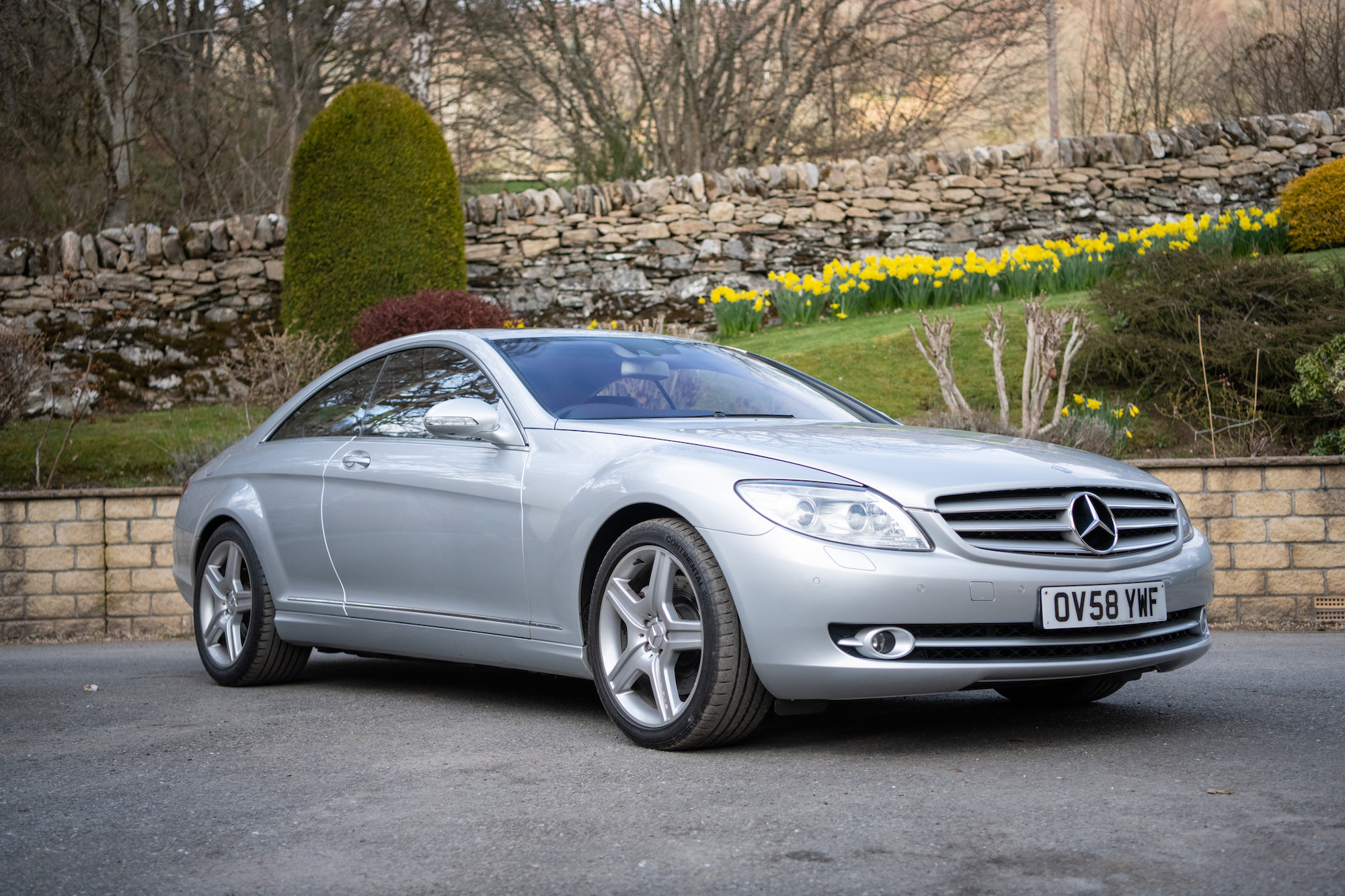 2009 MERCEDES-BENZ (C216) CL500