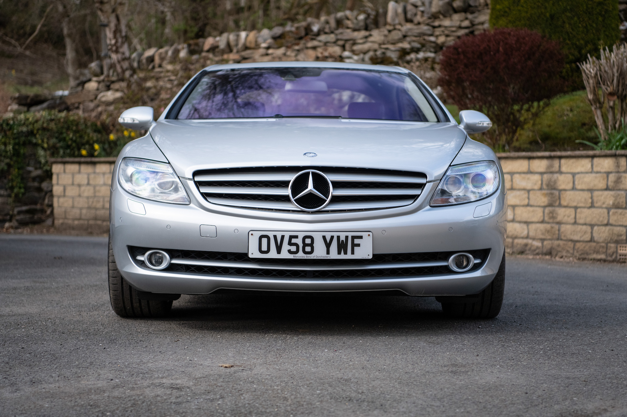 2009 MERCEDES-BENZ (C216) CL500