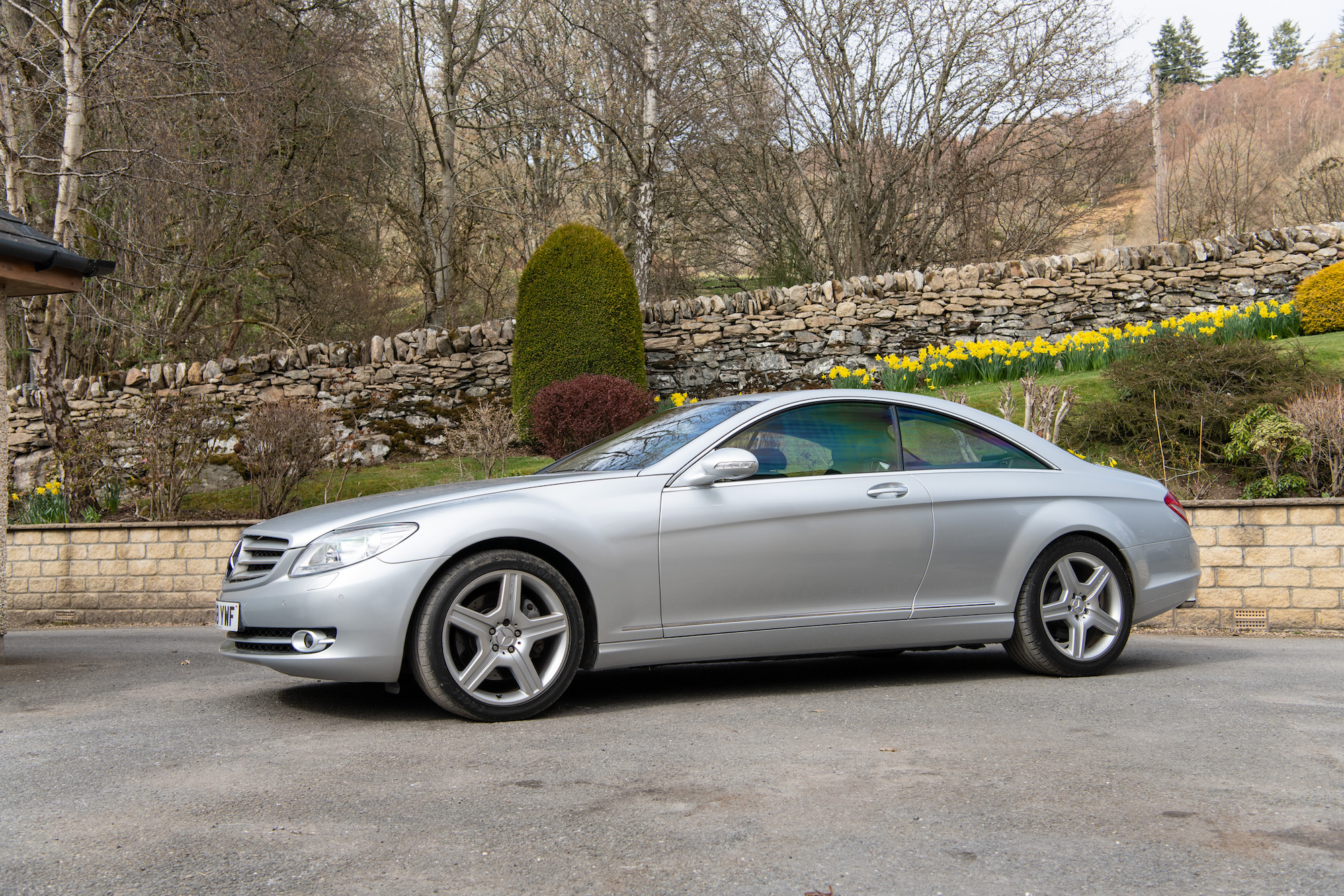 2009 MERCEDES-BENZ (C216) CL500