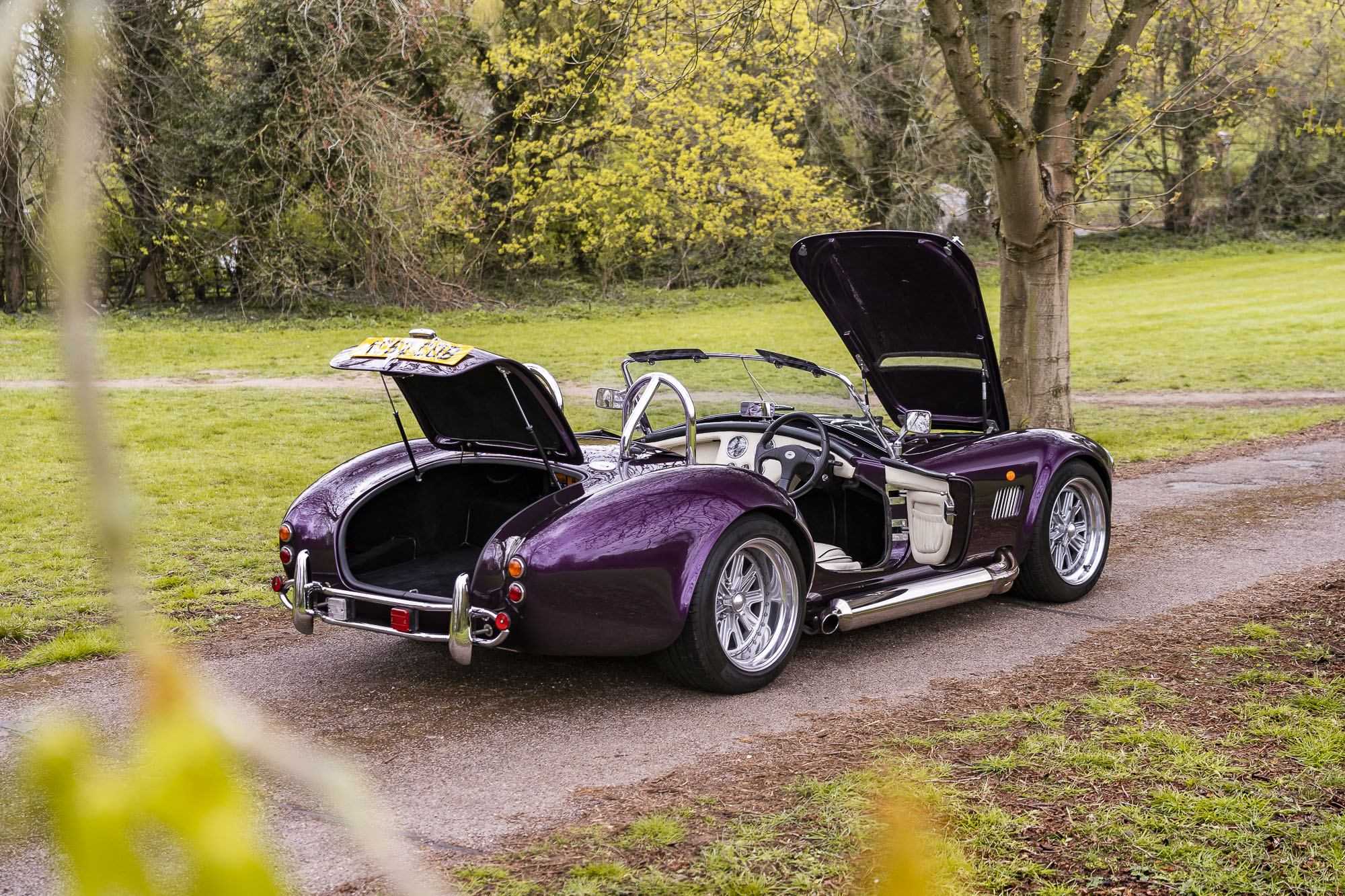 2002 DAX TOJEIRO COBRA REPLICA for sale by auction in Graveley ...