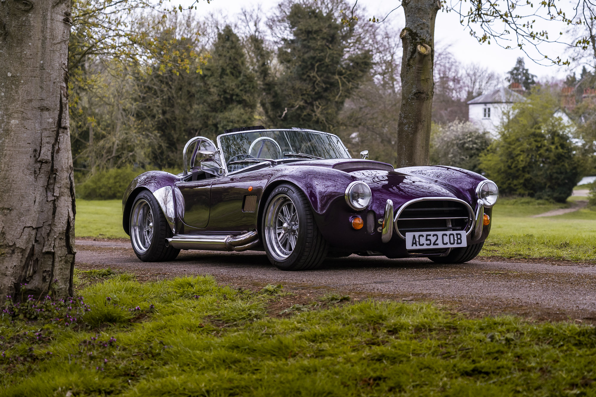 2002 DAX TOJEIRO COBRA REPLICA for sale by auction in Graveley ...