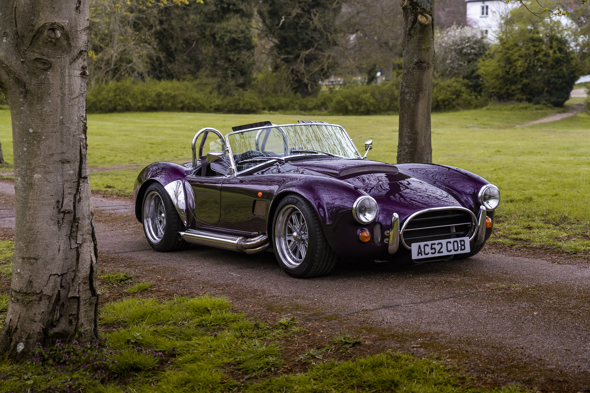 2002 DAX TOJEIRO COBRA REPLICA for sale by auction in Graveley ...