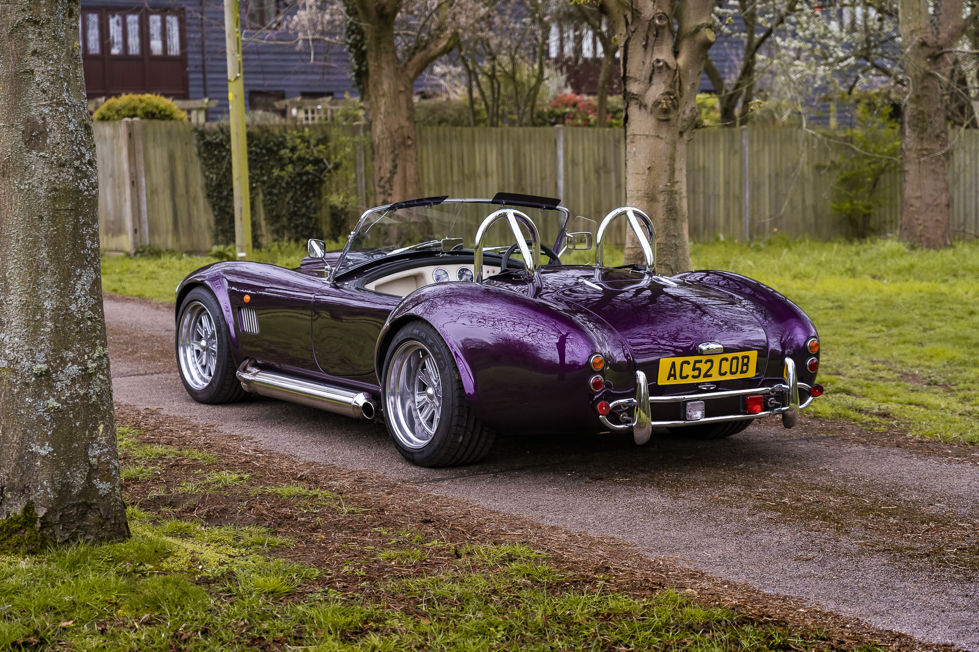 2002 DAX TOJEIRO COBRA REPLICA for sale by auction in Graveley ...