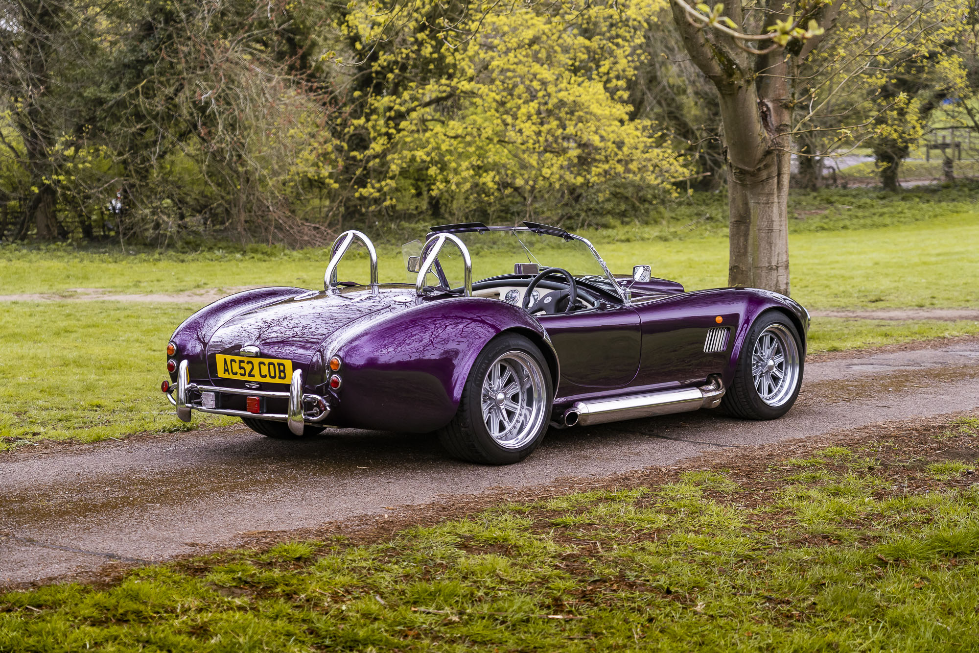 2002 DAX TOJEIRO COBRA REPLICA for sale by auction in Graveley ...