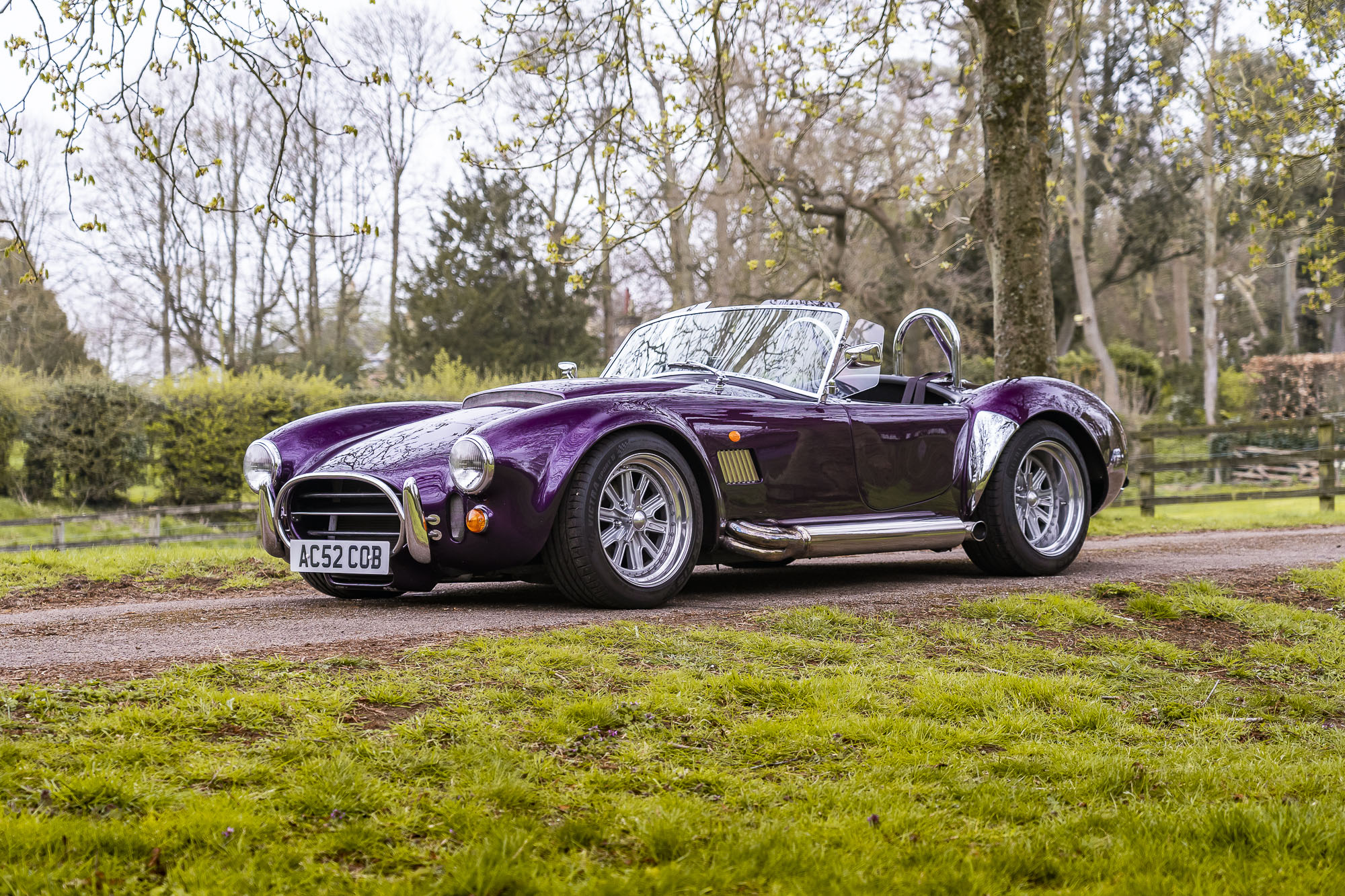2002 DAX TOJEIRO COBRA REPLICA for sale by auction in Graveley ...
