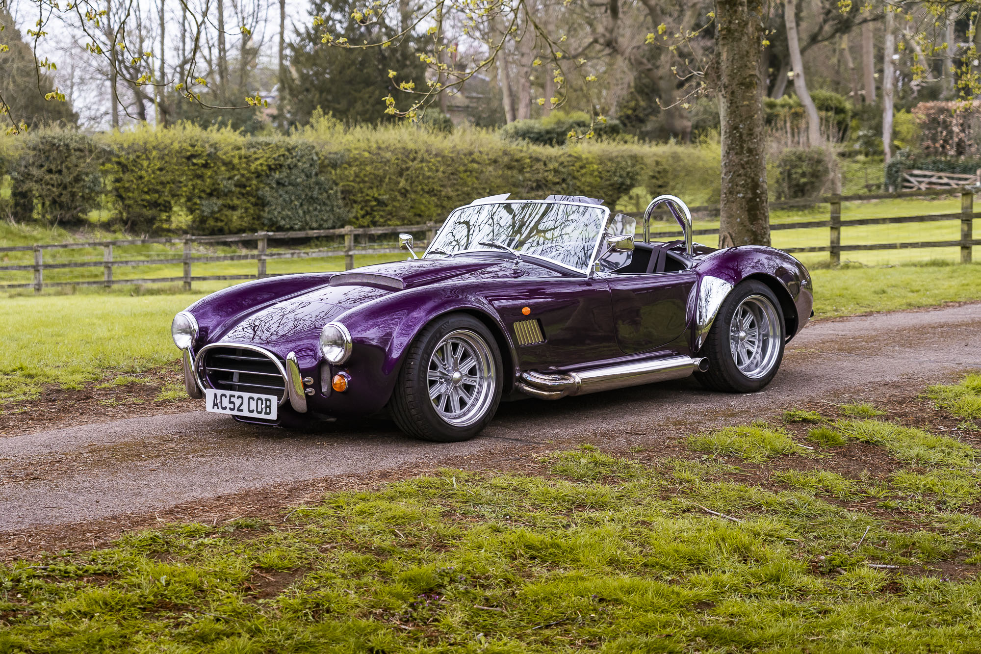 2002 DAX TOJEIRO COBRA REPLICA for sale by auction in Graveley ...