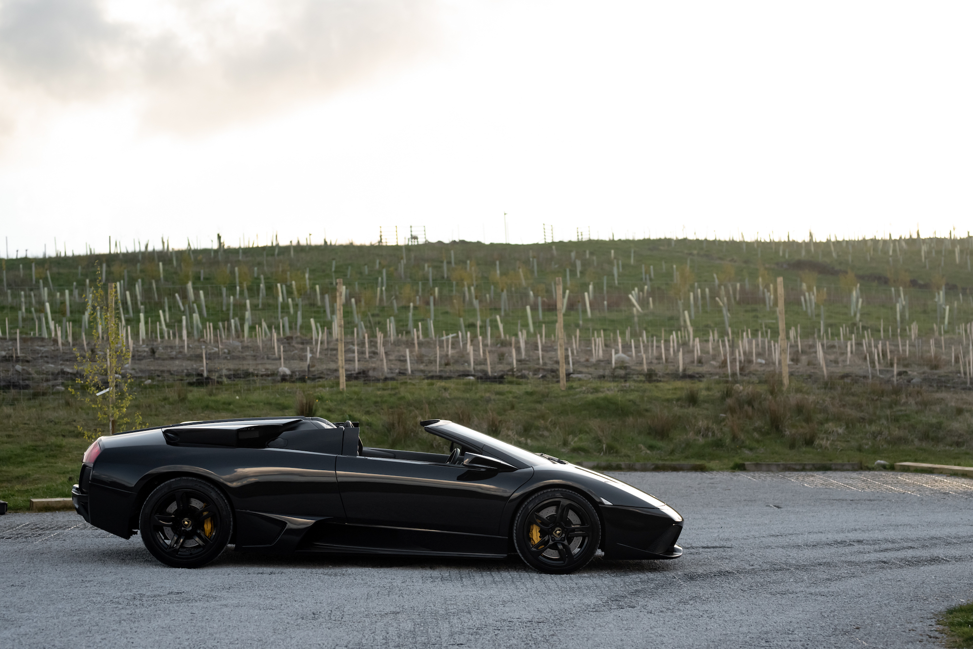 2007 LAMBORGHINI MURCIÉLAGO LP640 ROADSTER