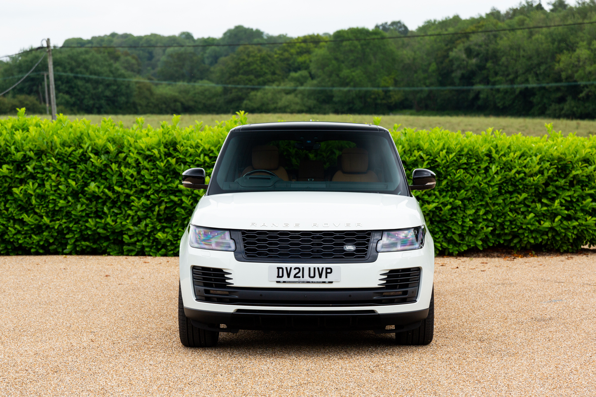 2021 RANGE ROVER FIFTY SPECIAL EDITION for sale in Winchester ...