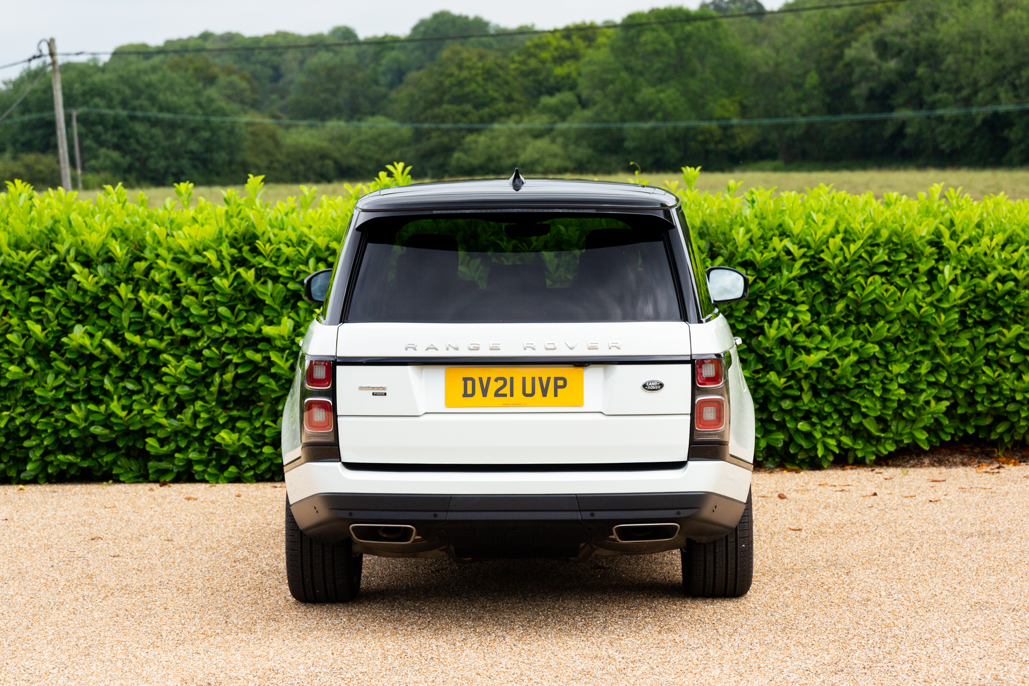 2021 RANGE ROVER FIFTY SPECIAL EDITION for sale in Winchester ...