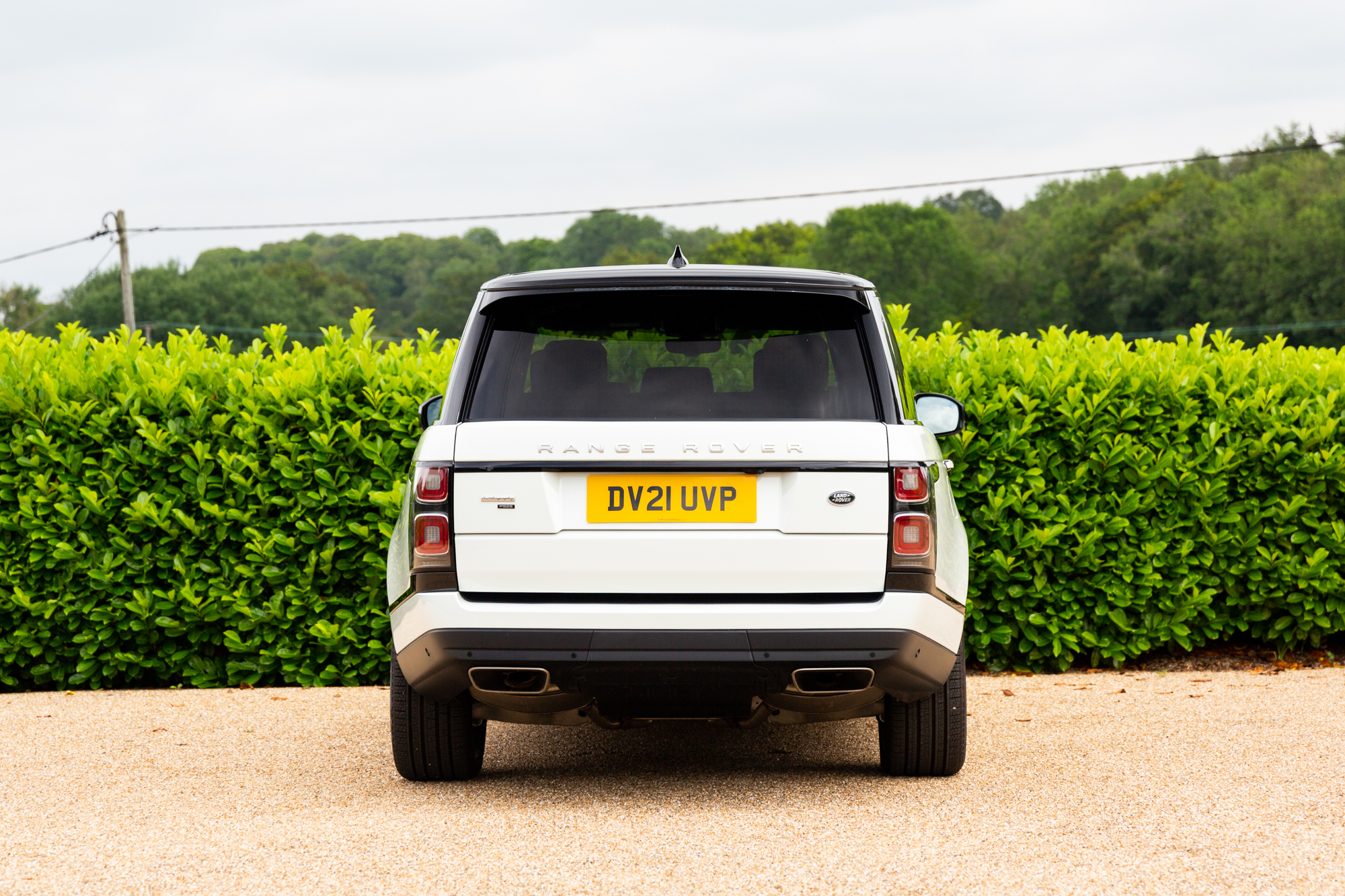 2021 RANGE ROVER FIFTY SPECIAL EDITION for sale in Winchester ...