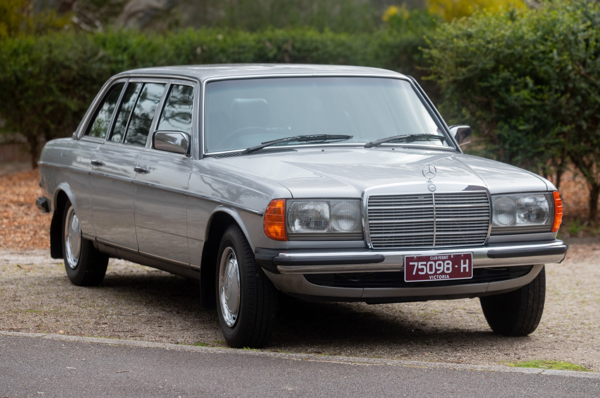 1985 MERCEDES-BENZ (V123) 250 LWB - LIMOUSINE