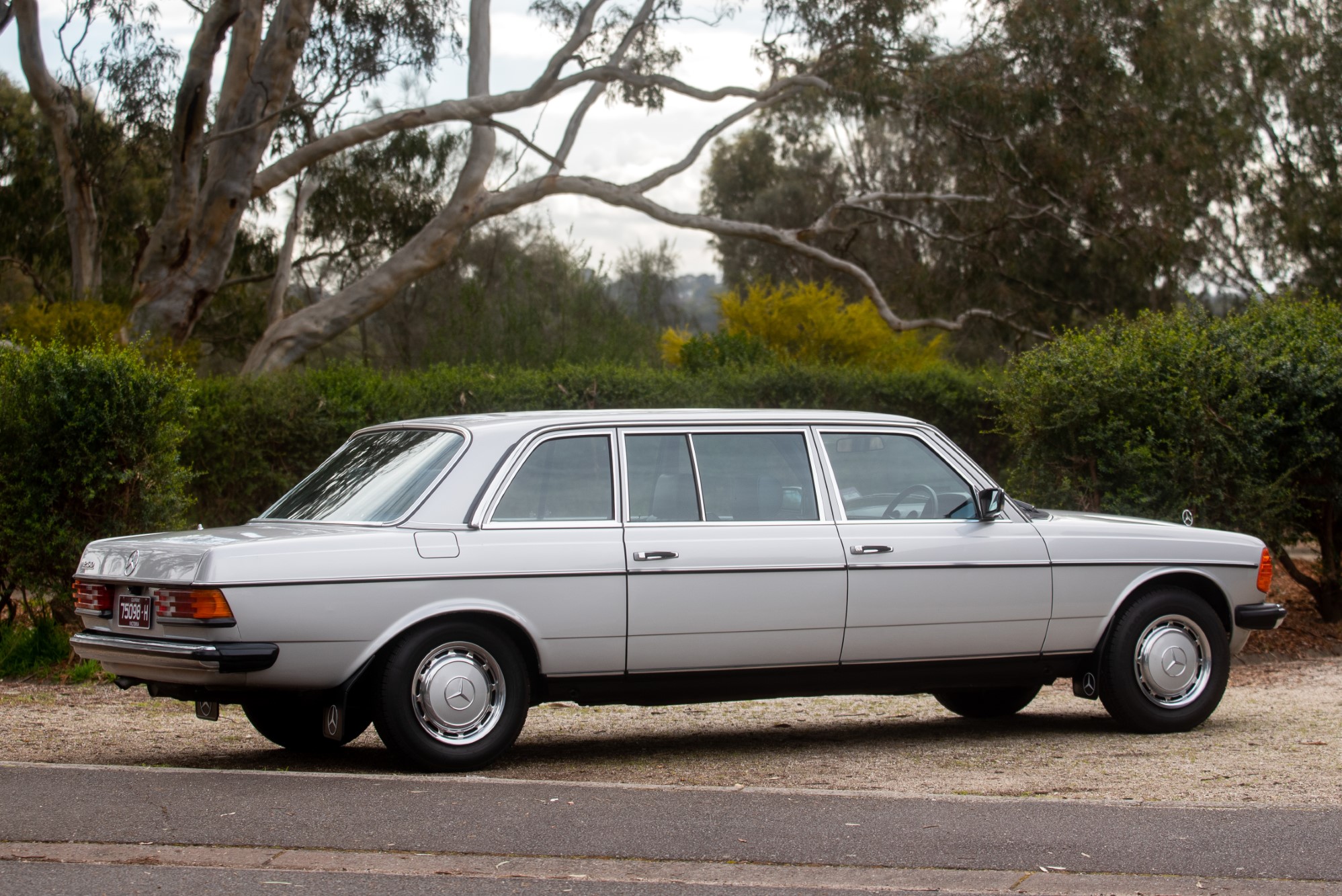 1985 MERCEDES-BENZ (V123) 250 LWB - LIMOUSINE