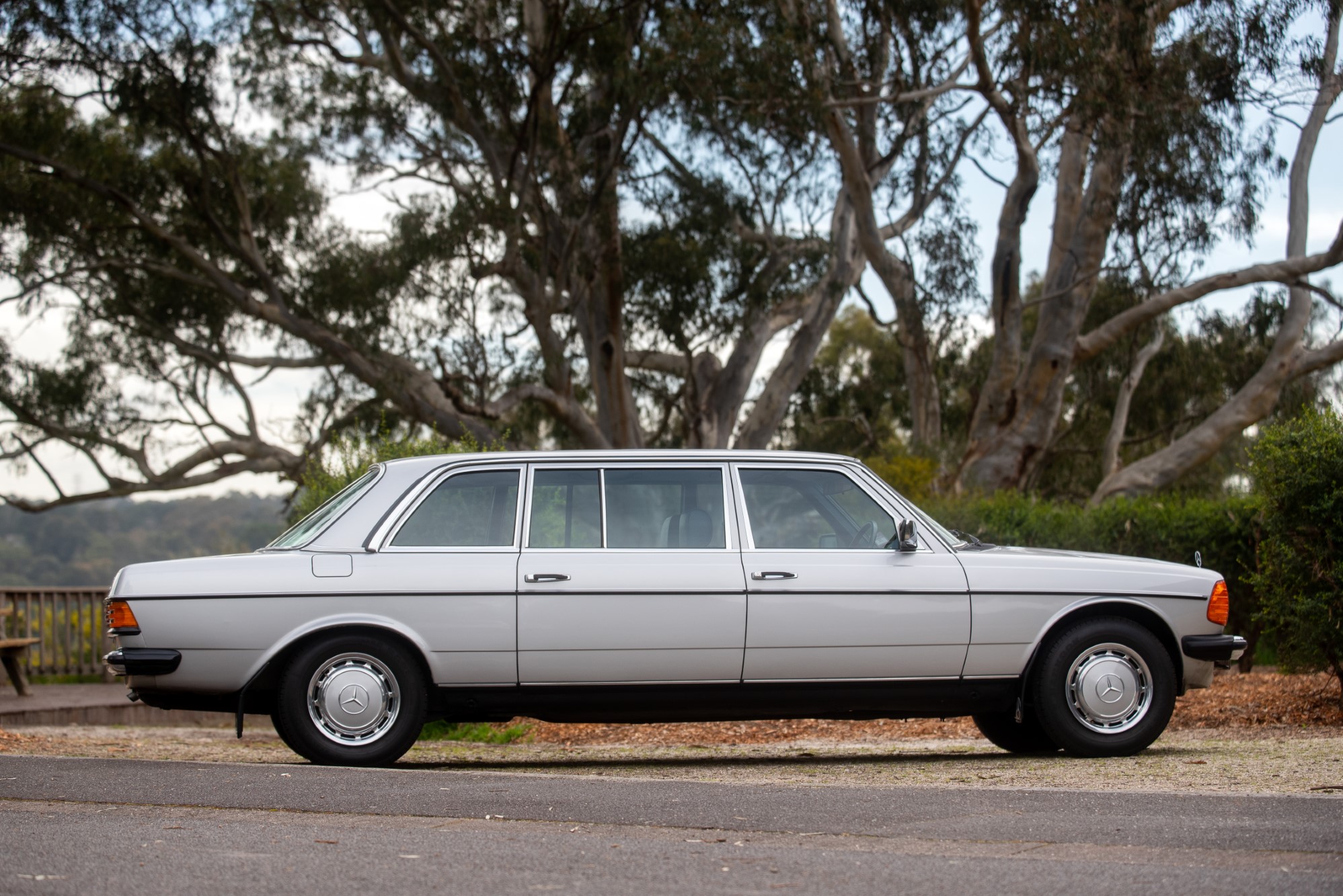 1985 MERCEDES-BENZ (V123) 250 LWB - LIMOUSINE