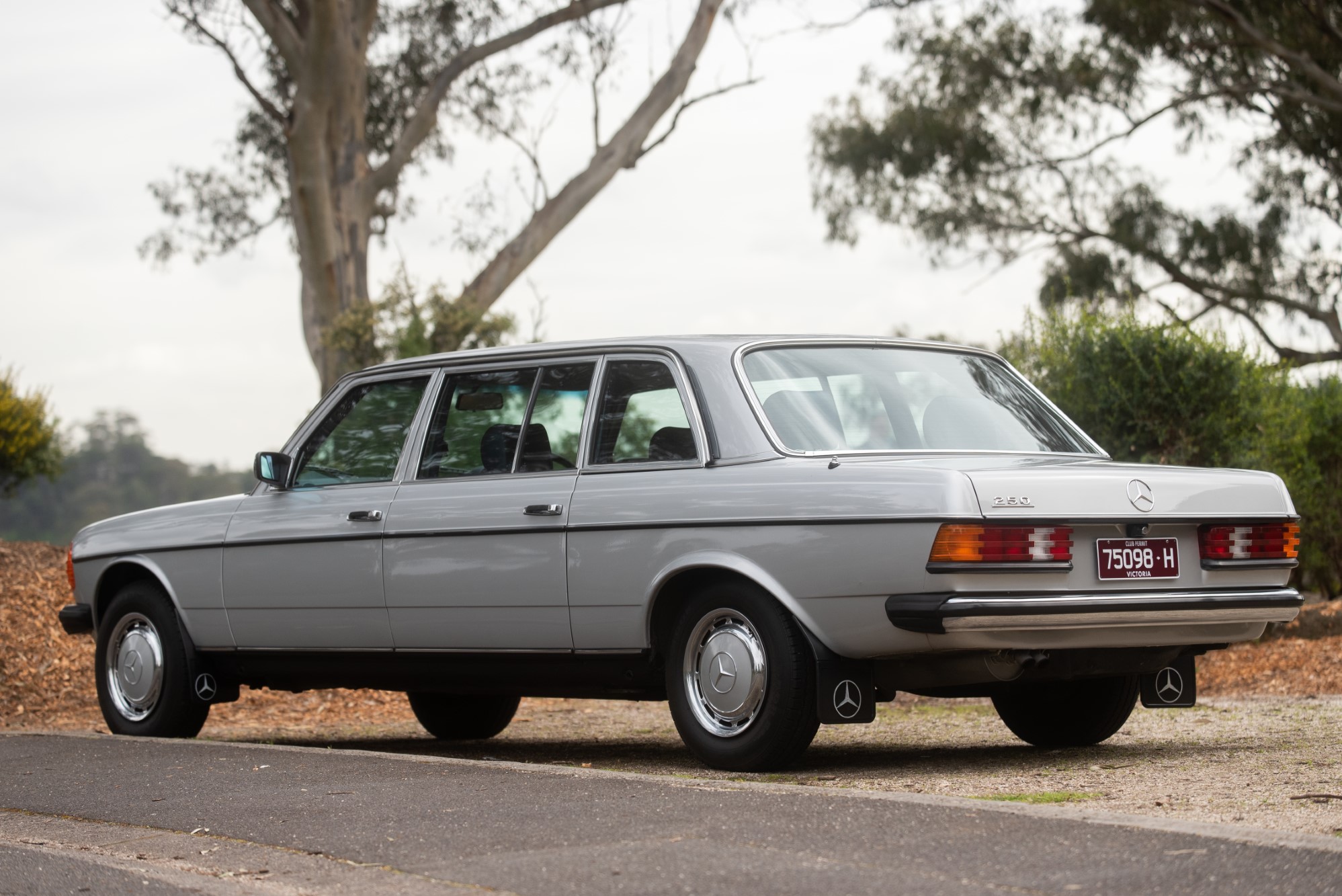 1985 MERCEDES-BENZ (V123) 250 LWB - LIMOUSINE