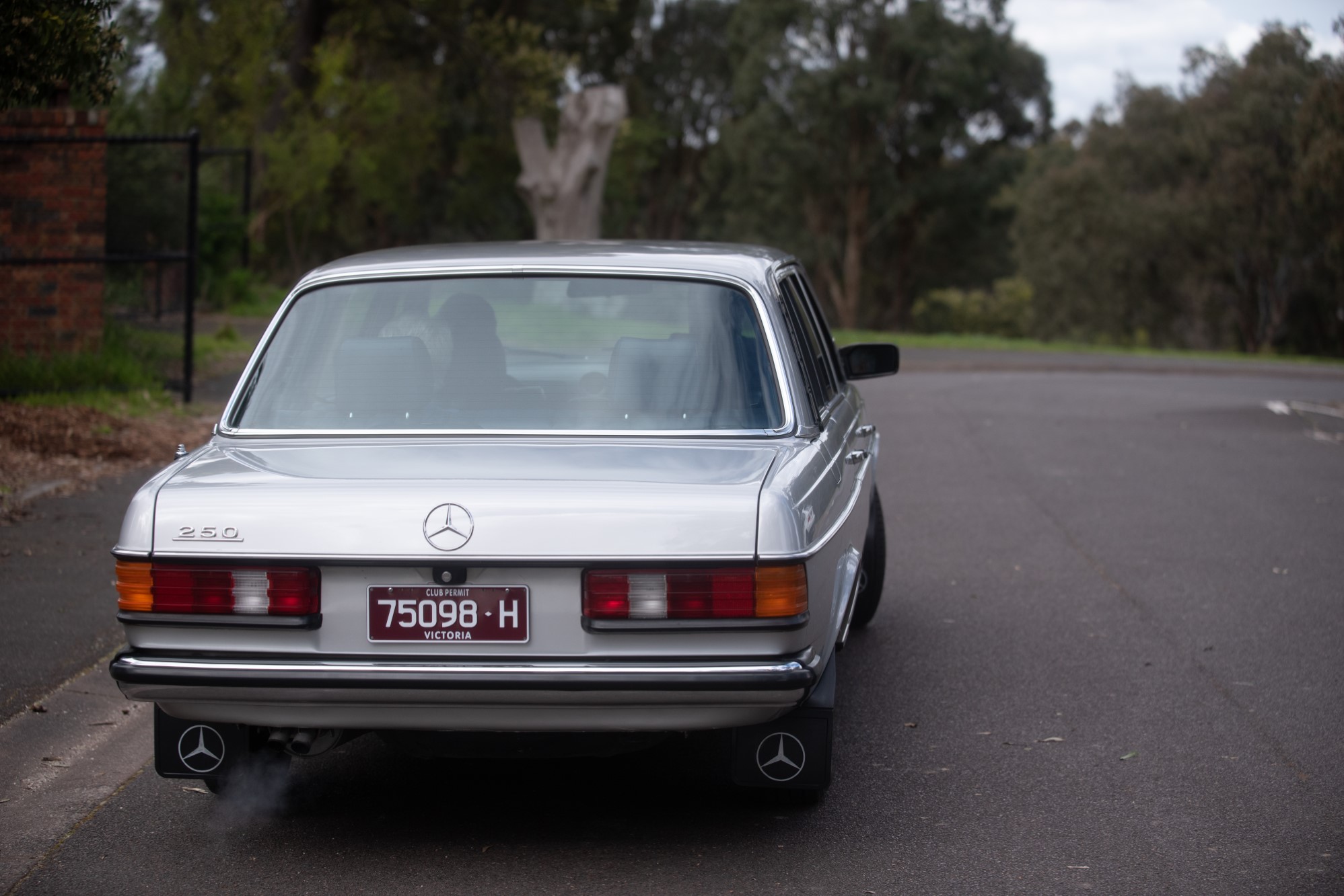 1985 MERCEDES-BENZ (V123) 250 LWB - LIMOUSINE