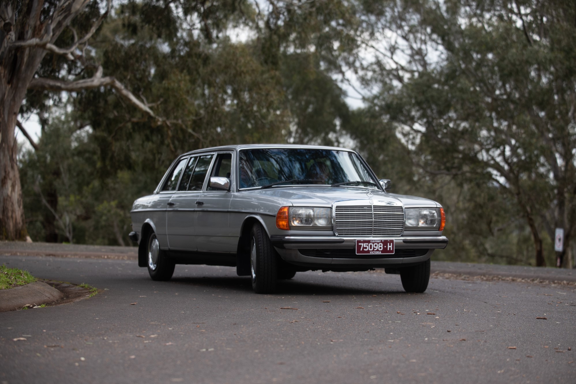 1985 MERCEDES-BENZ (V123) 250 LWB - LIMOUSINE