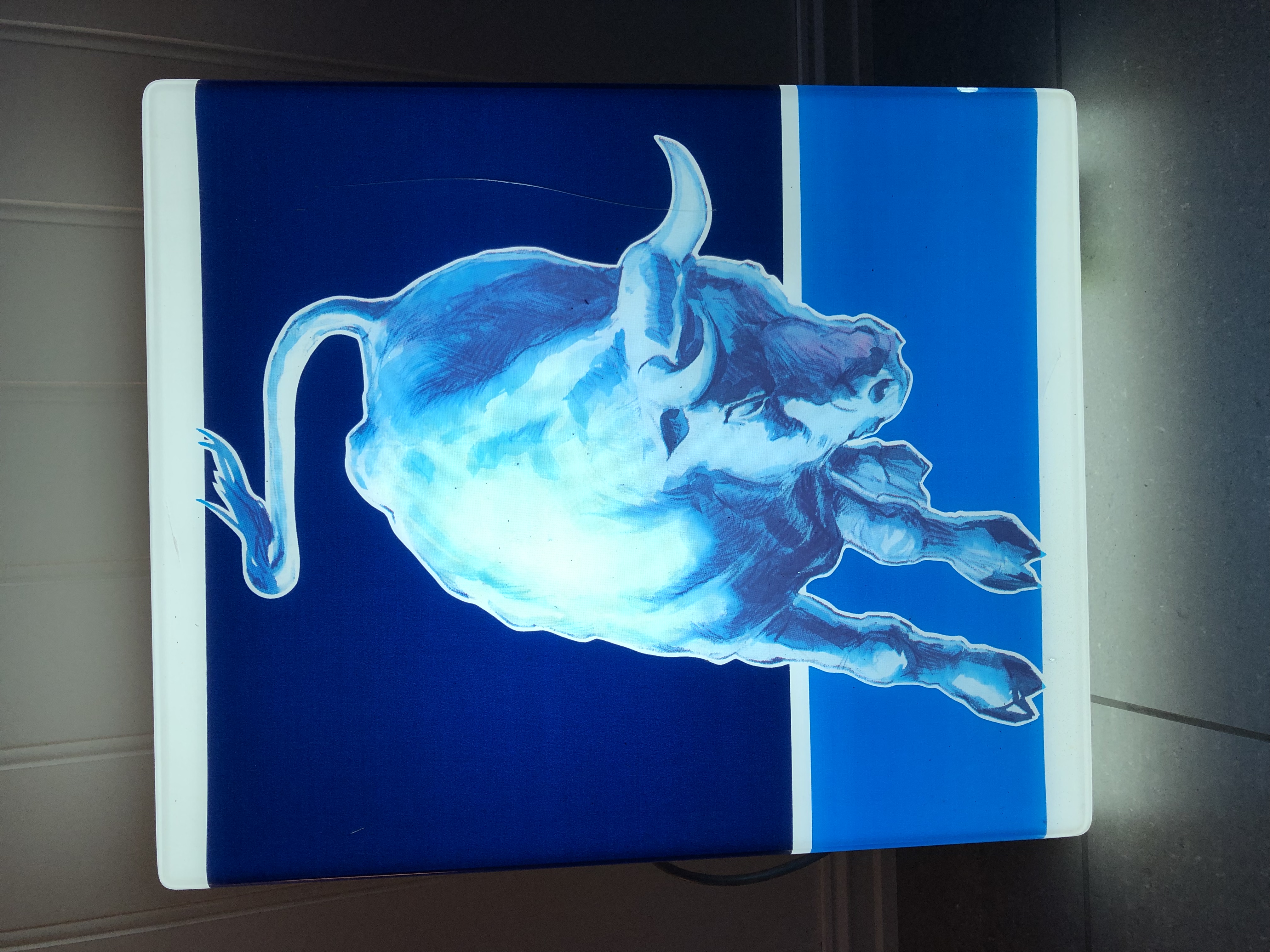 LAMBORGHINI BULL ILLUMINATED SIGN