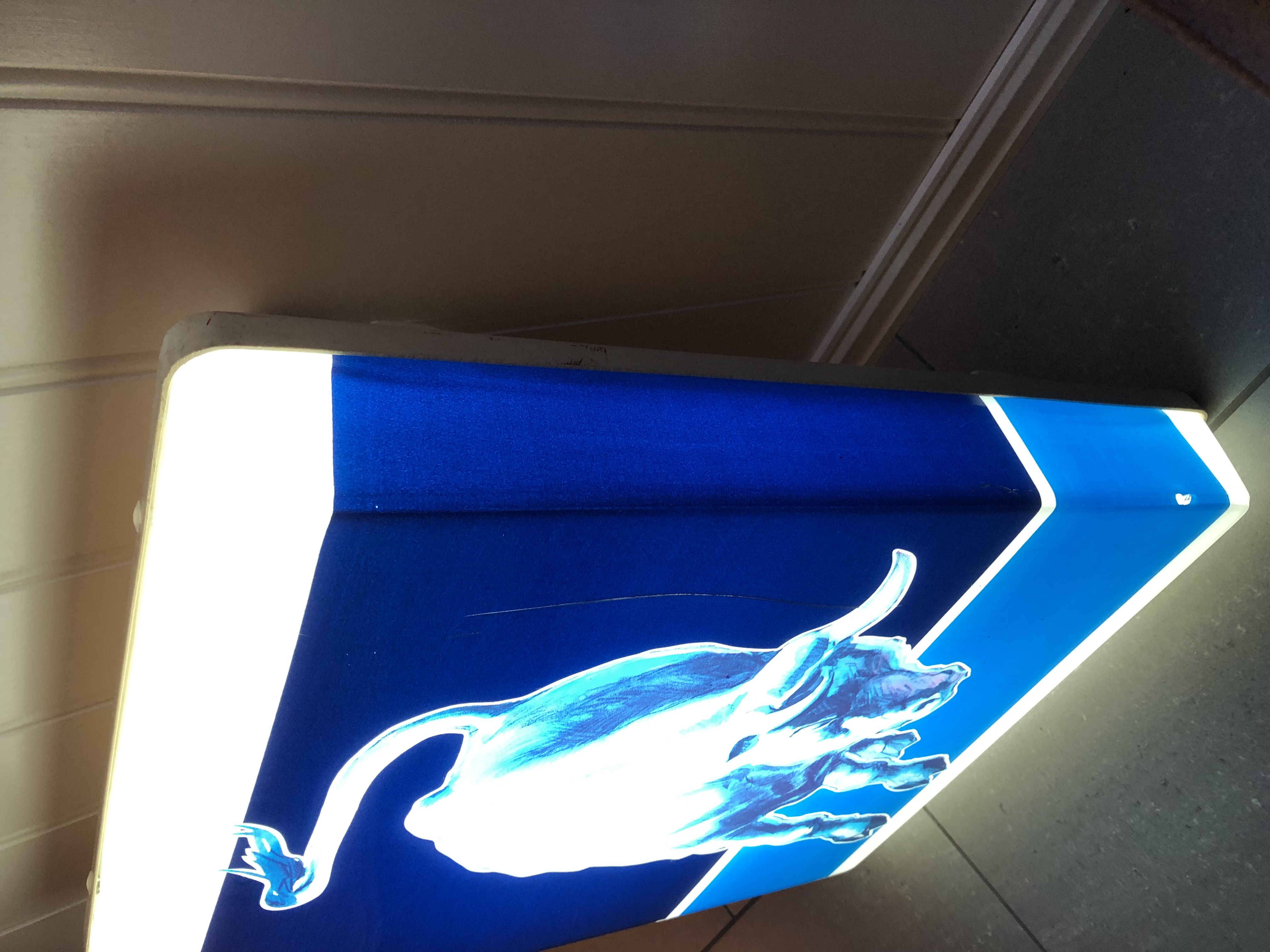 LAMBORGHINI BULL ILLUMINATED SIGN