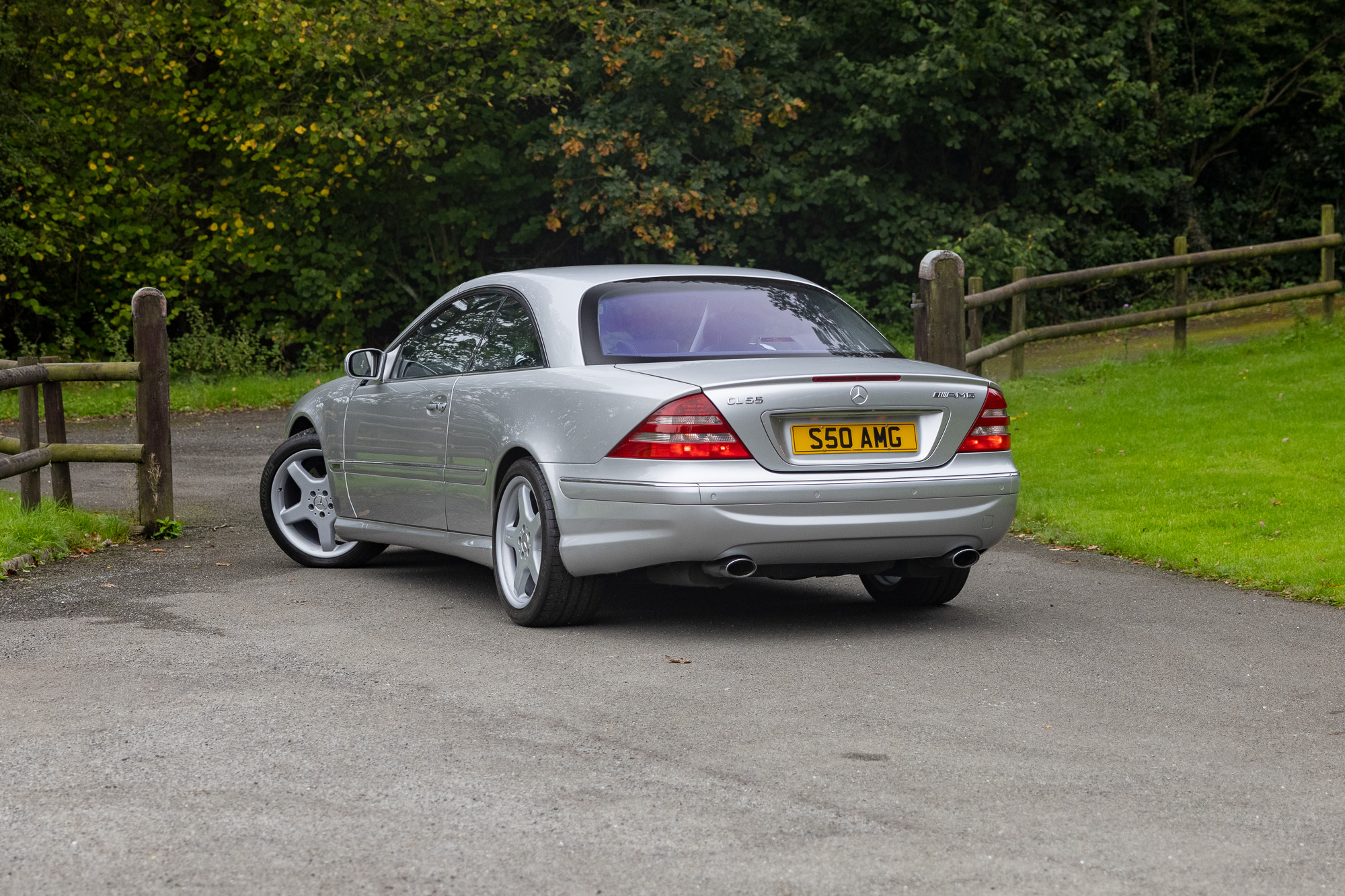2001 MERCEDES-BENZ (C215) CL55 - F1 LIMITED EDITION