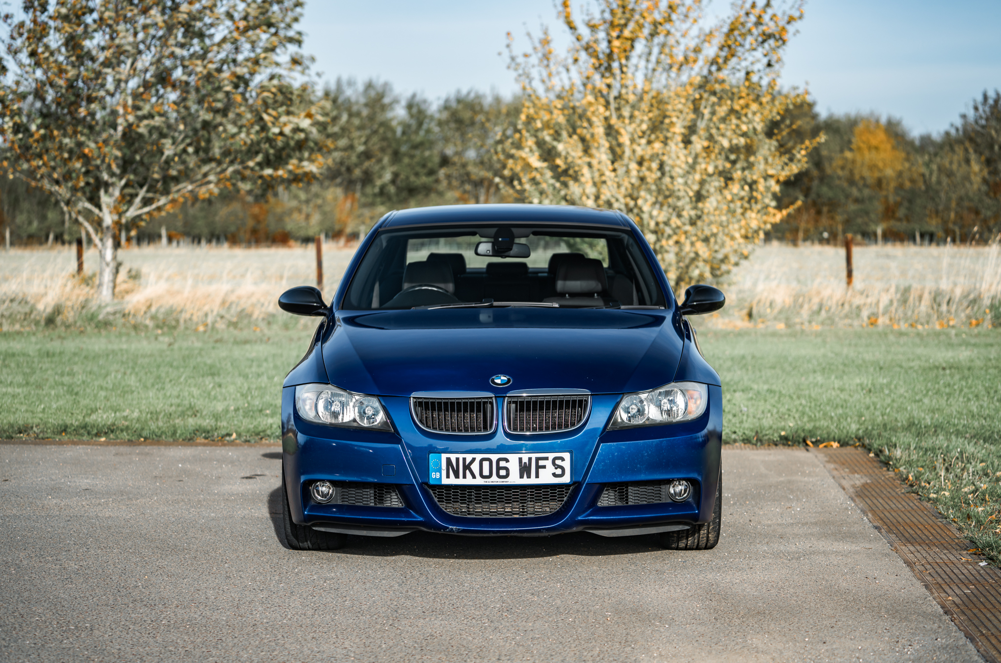 2006 BMW (E90) 320SI