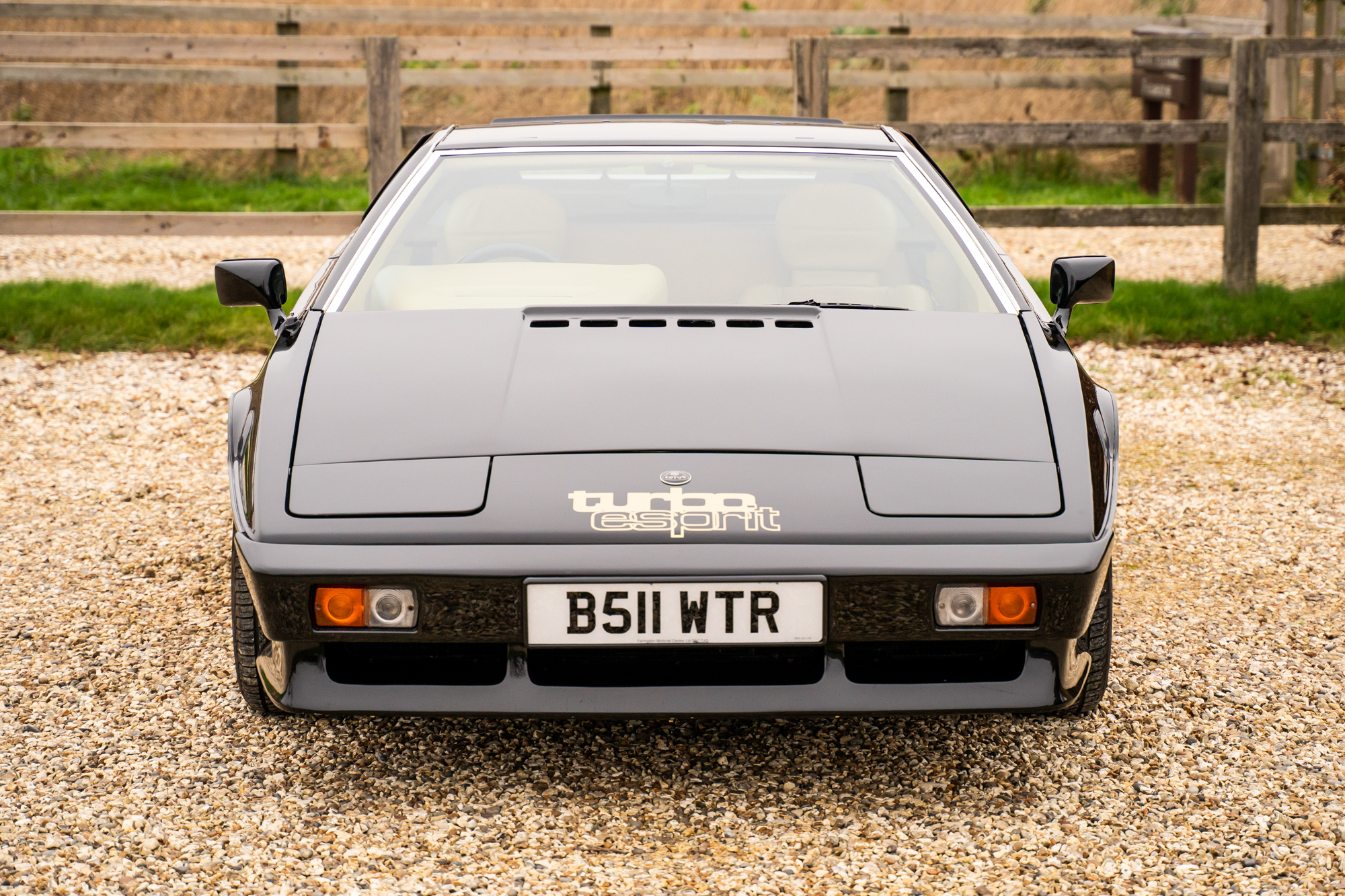 1984 LOTUS ESPRIT TURBO for sale by auction in Oxford, Oxfordshire ...