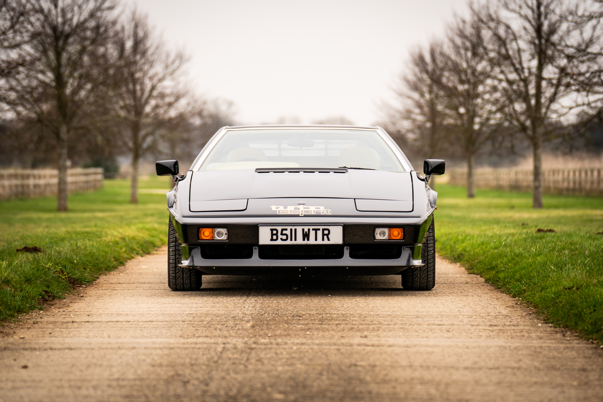 1984 LOTUS ESPRIT TURBO