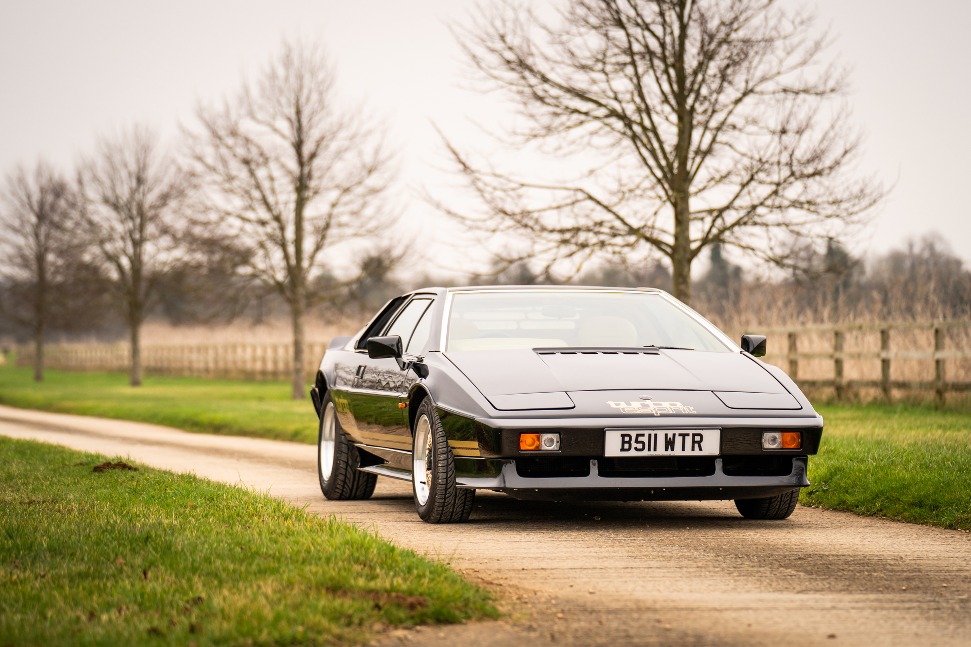 1984 LOTUS ESPRIT TURBO