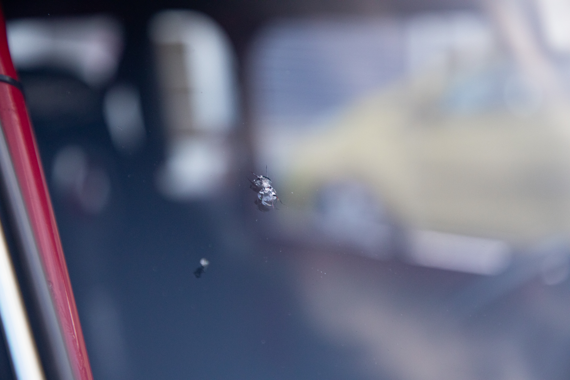 1965 AUSTIN MINI COOPER S MK1 - FIA PRE 66