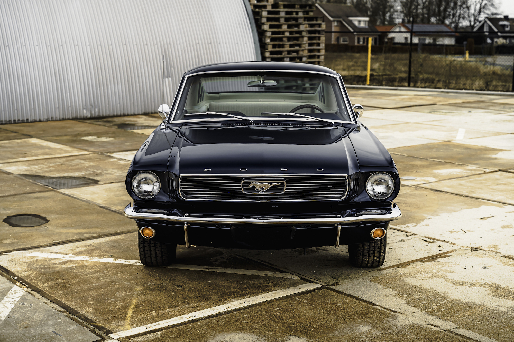 1966 FORD MUSTANG FASTBACK for sale by auction in Beek en Donk, Netherlands