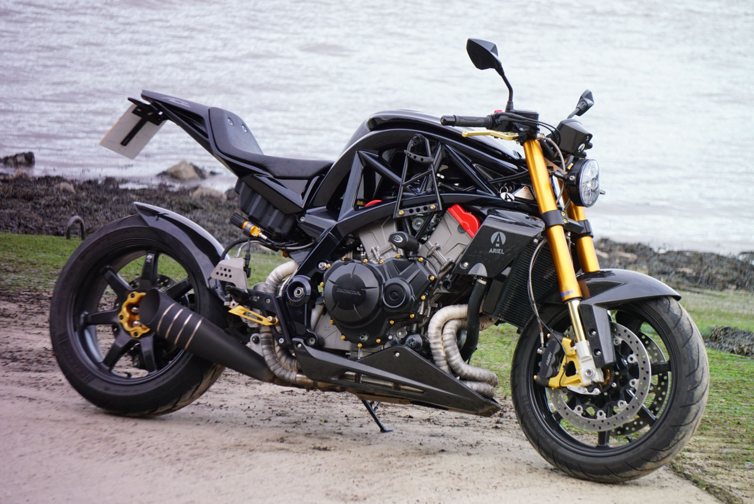 2020 ARIEL ACE SPORT