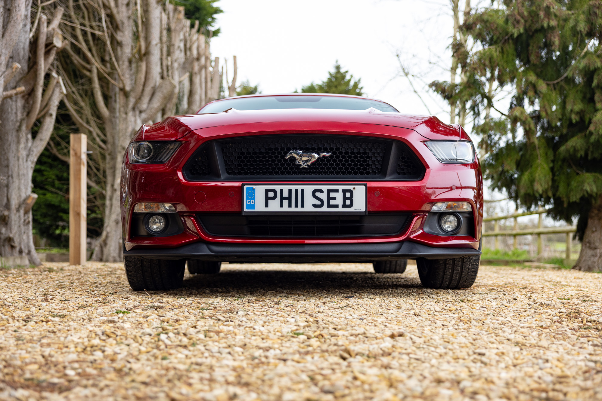 2016 FORD MUSTANG CONVERTIBLE