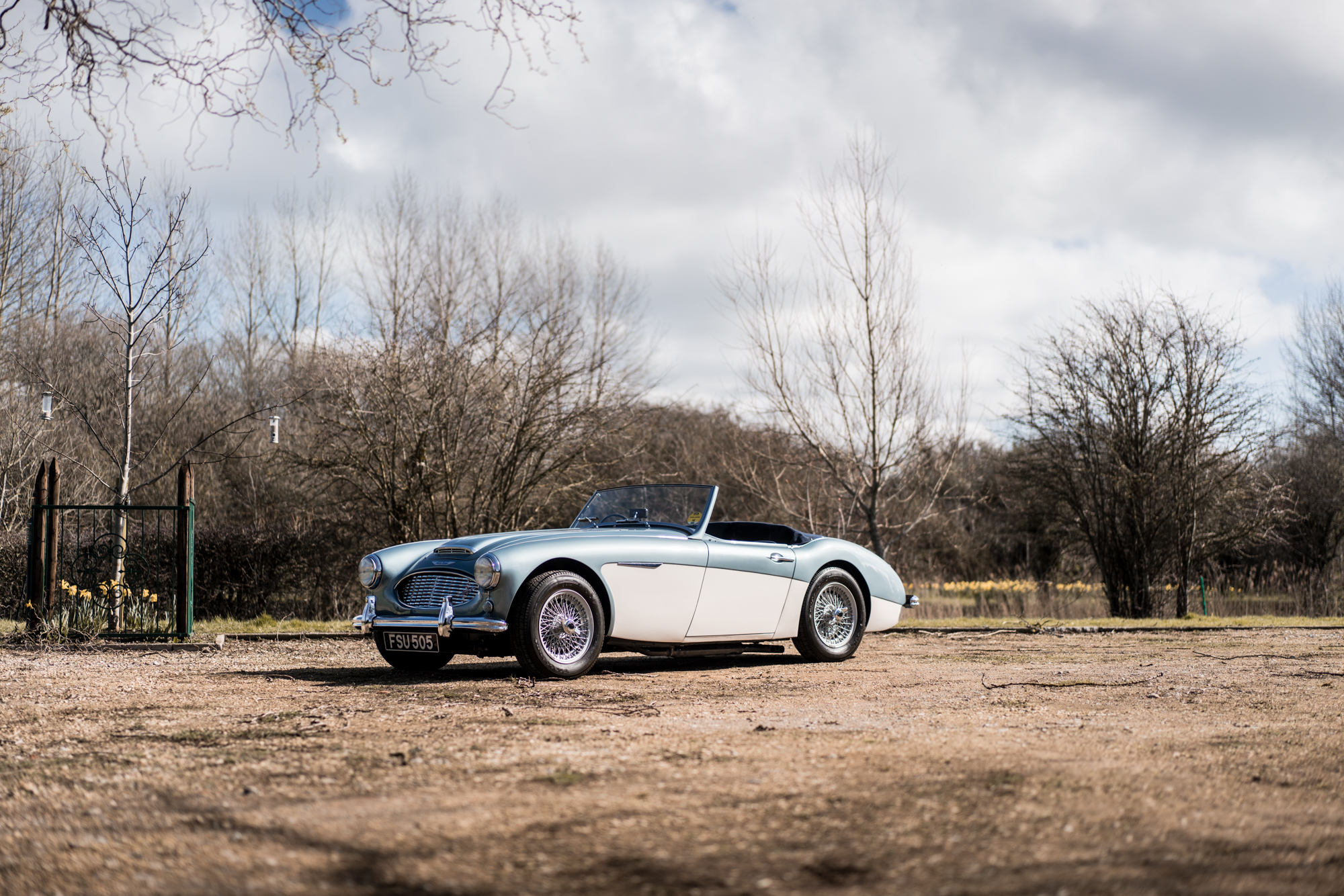 1958 AUSTIN HEALEY 100/6