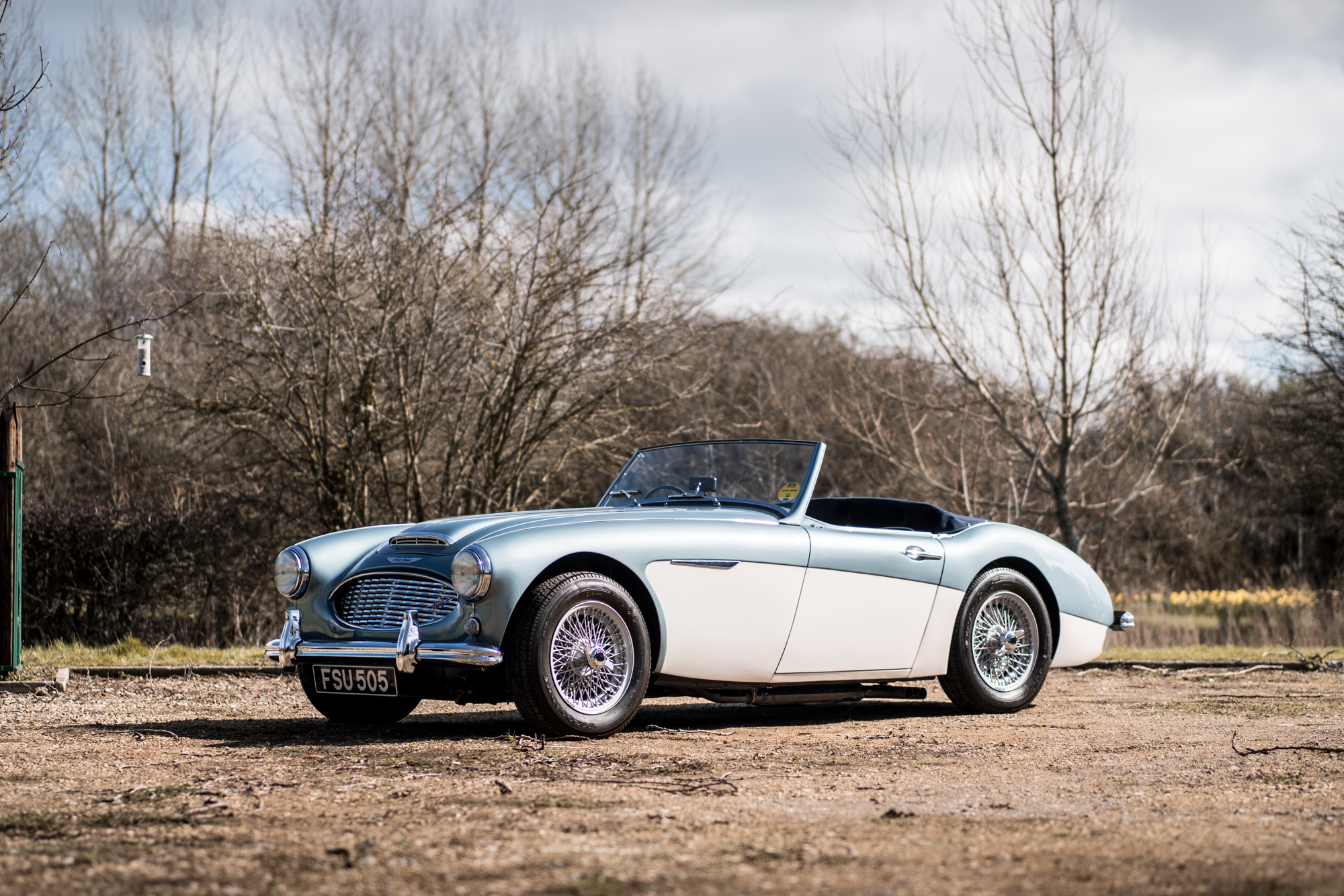 1958 AUSTIN HEALEY 100/6