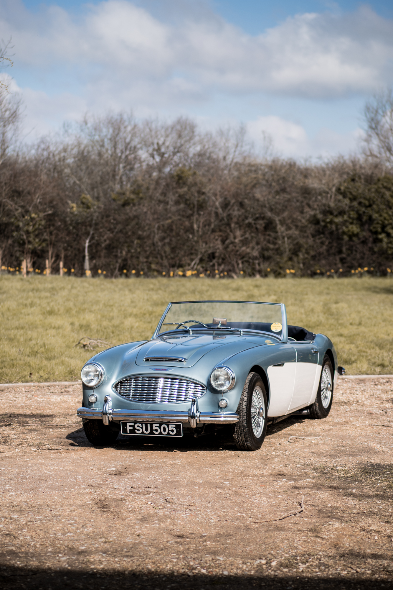 1958 AUSTIN HEALEY 100/6