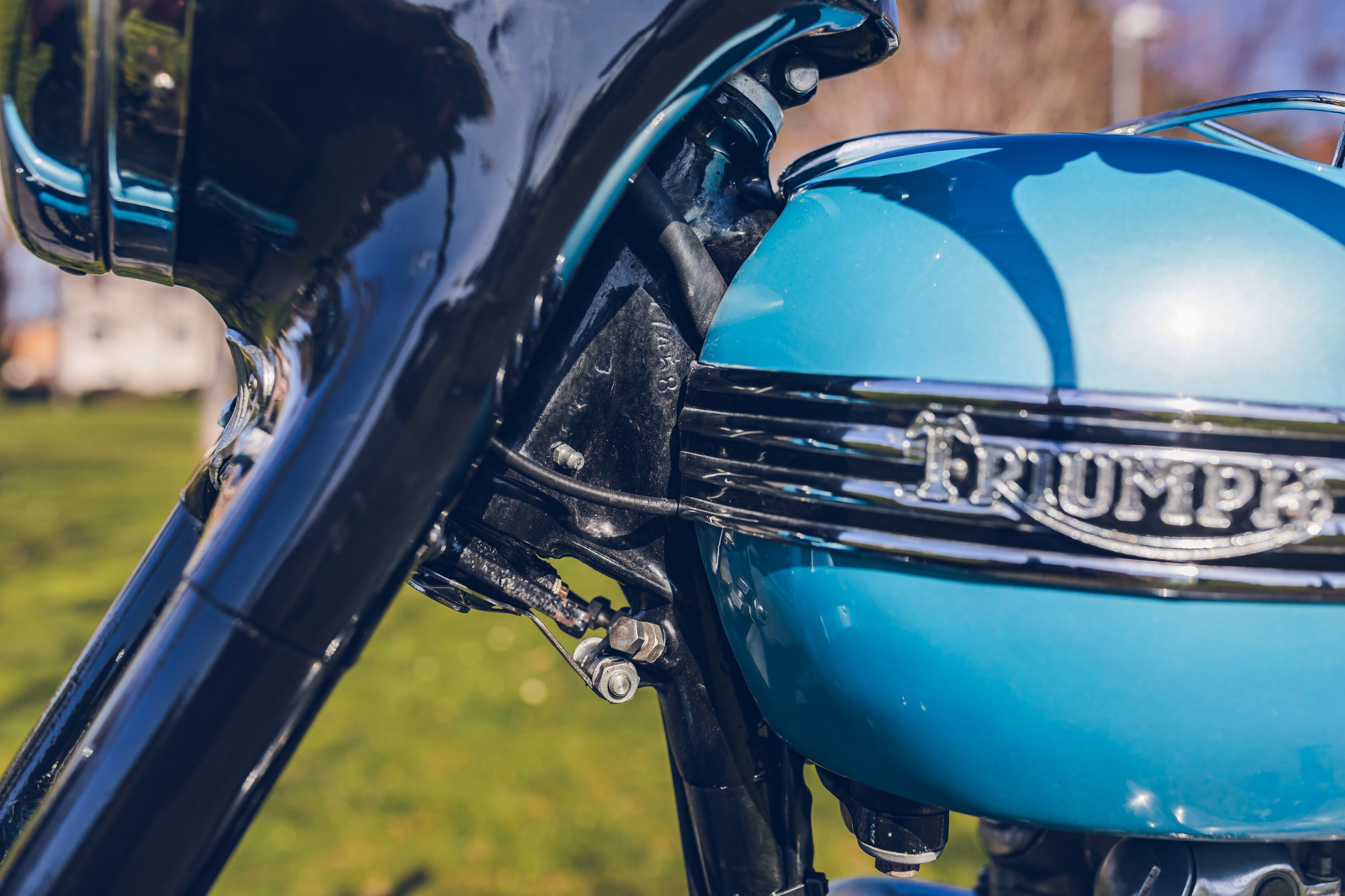 1956 TRIUMPH TIGER 100