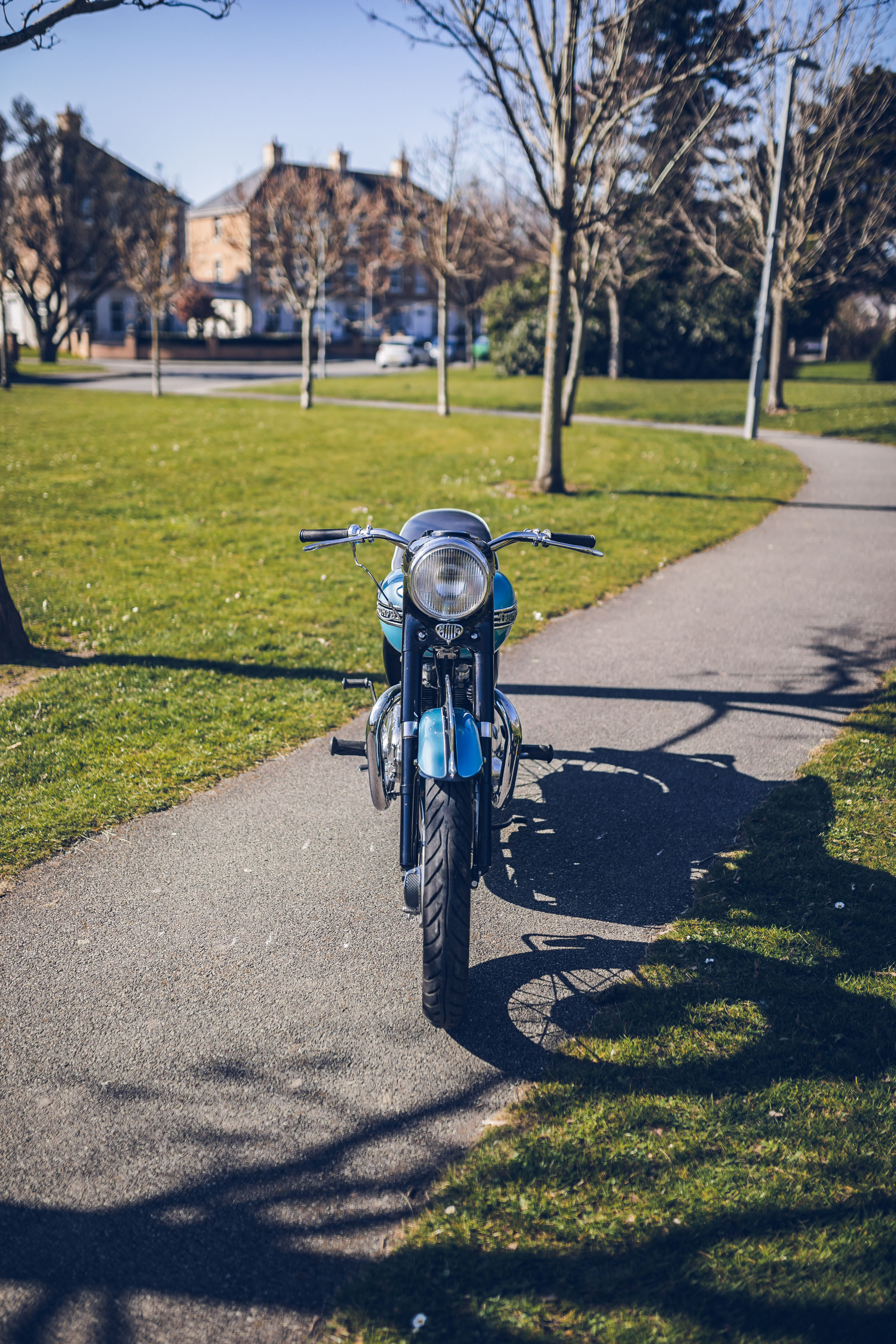 1956 TRIUMPH TIGER 100