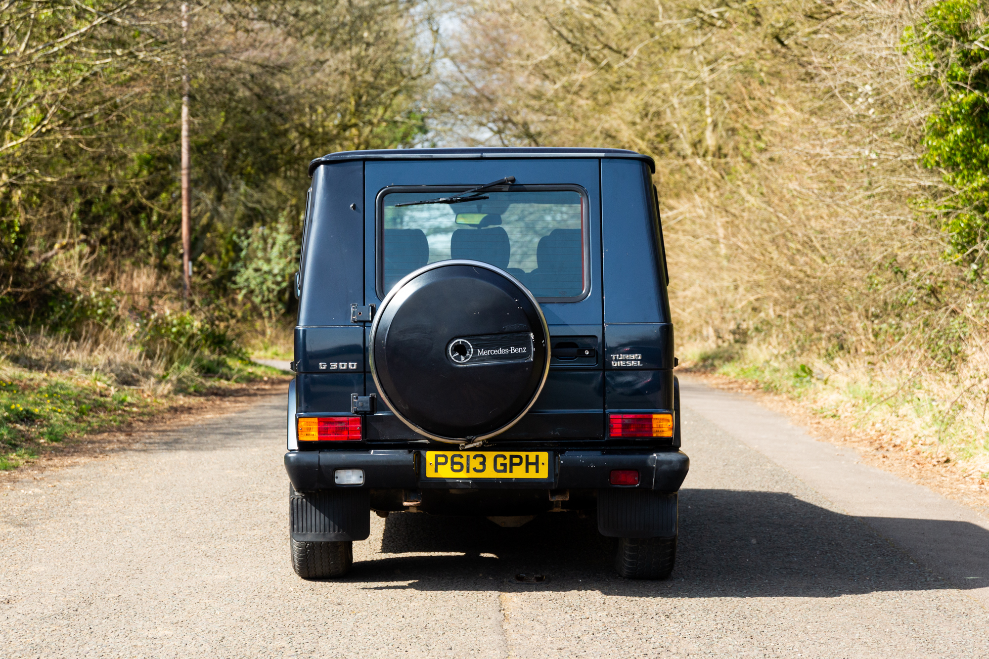 1996 MERCEDES-BENZ (W463) G300 TD