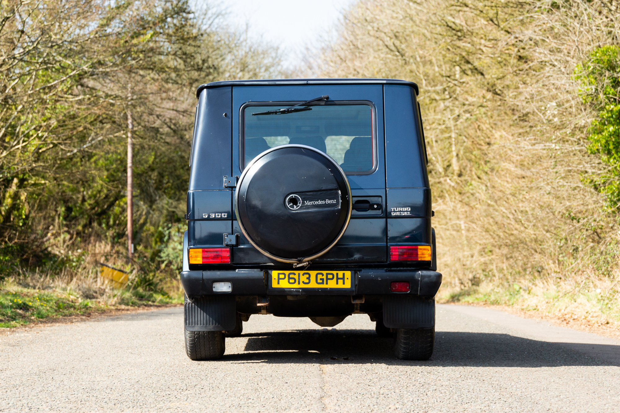 1996 MERCEDES-BENZ (W463) G300 TD