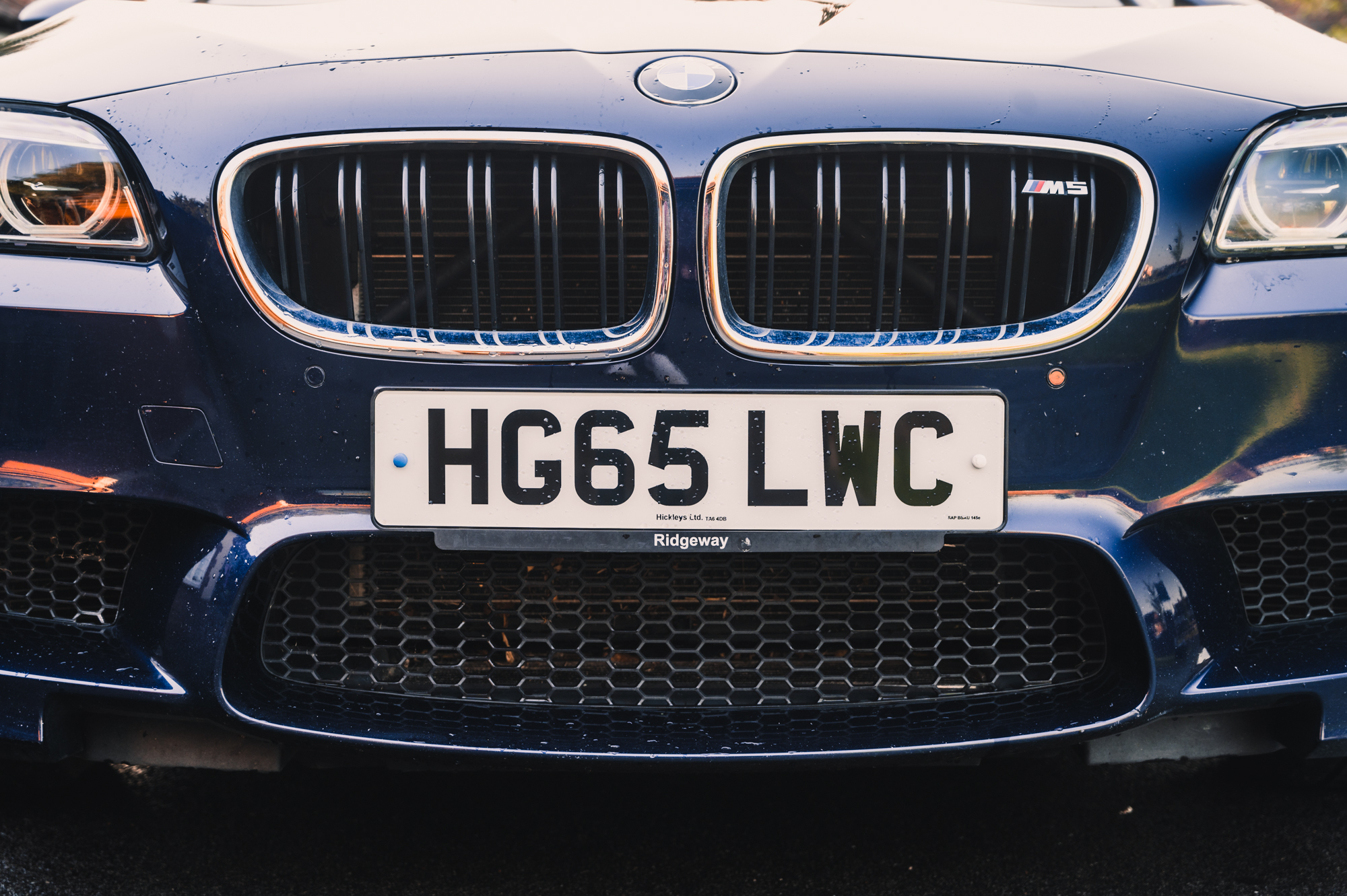 2015 BMW (F10) M5