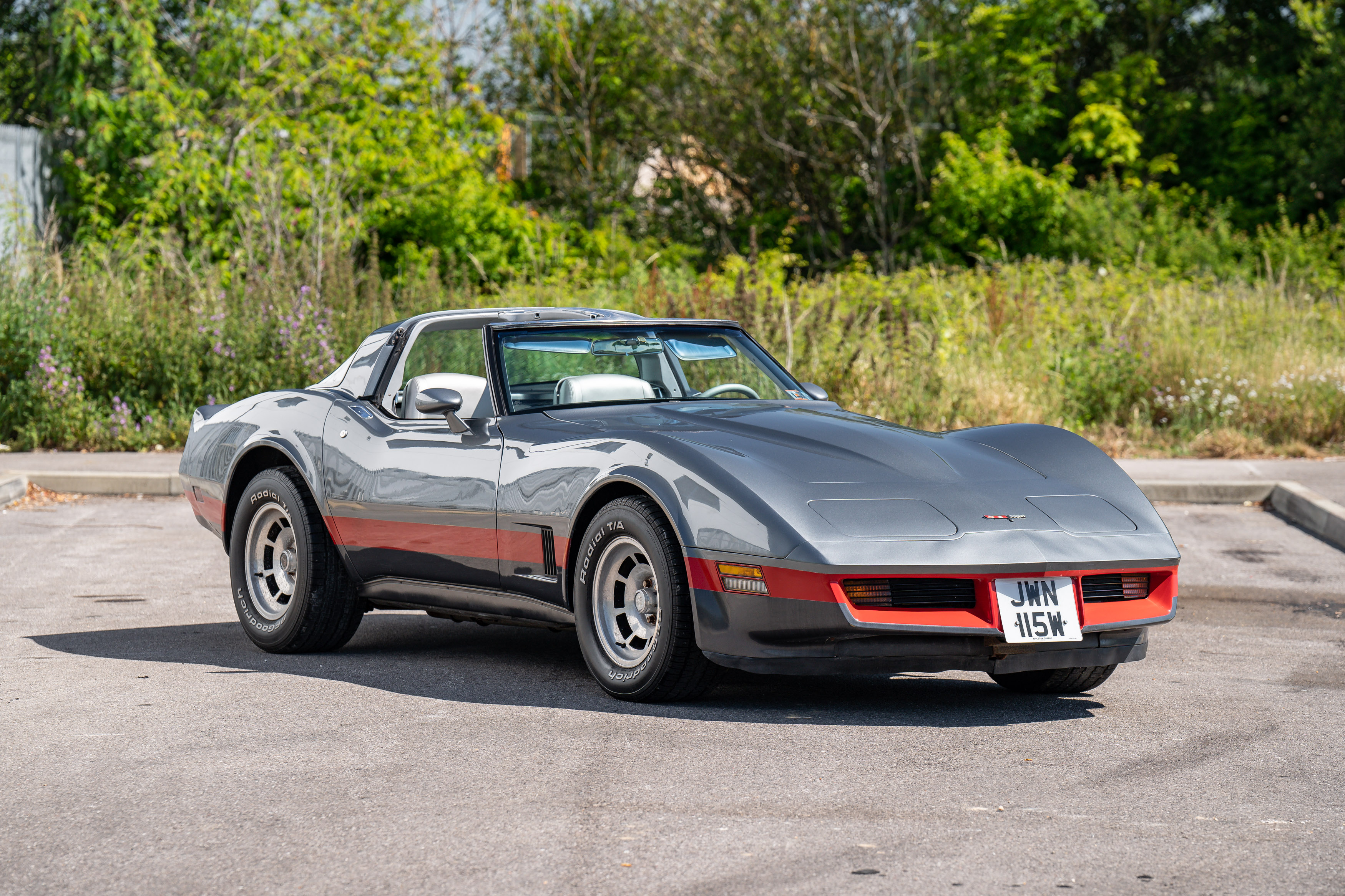 1981 CHEVROLET CORVETTE STINGRAY COUPE (C3)