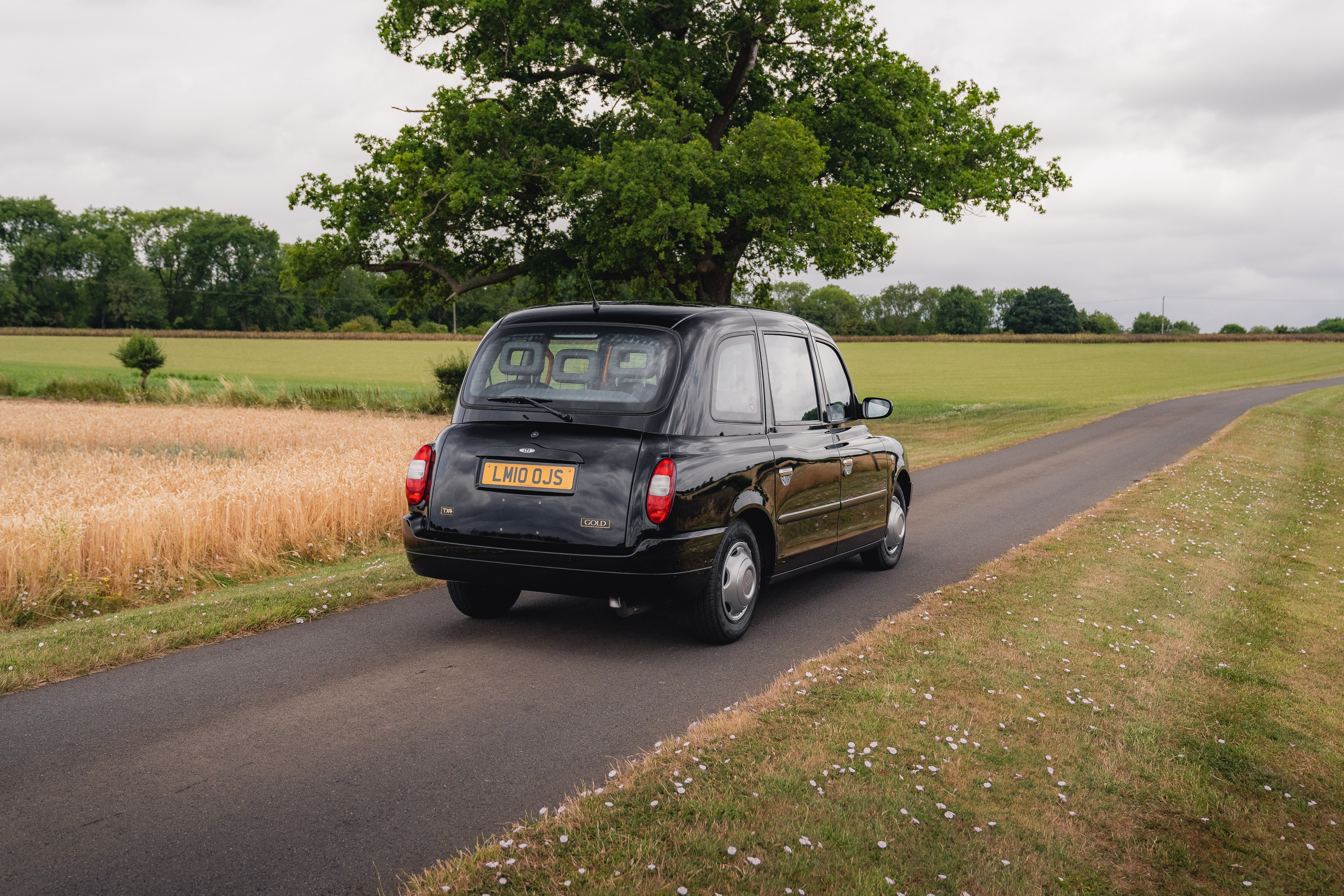 2010 LTI TX4 GOLD - 566 MILES