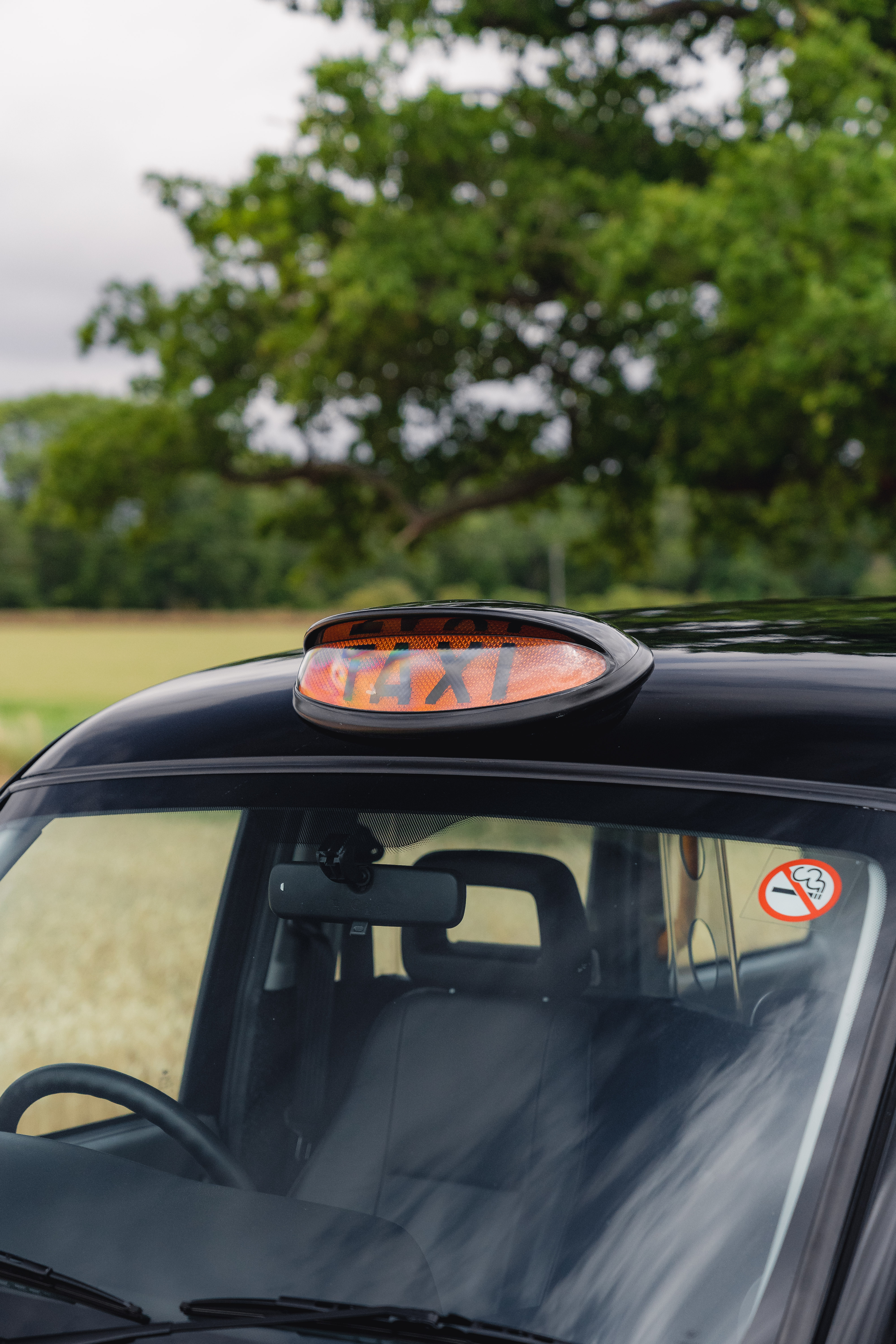 2010 LTI TX4 GOLD - 566 MILES