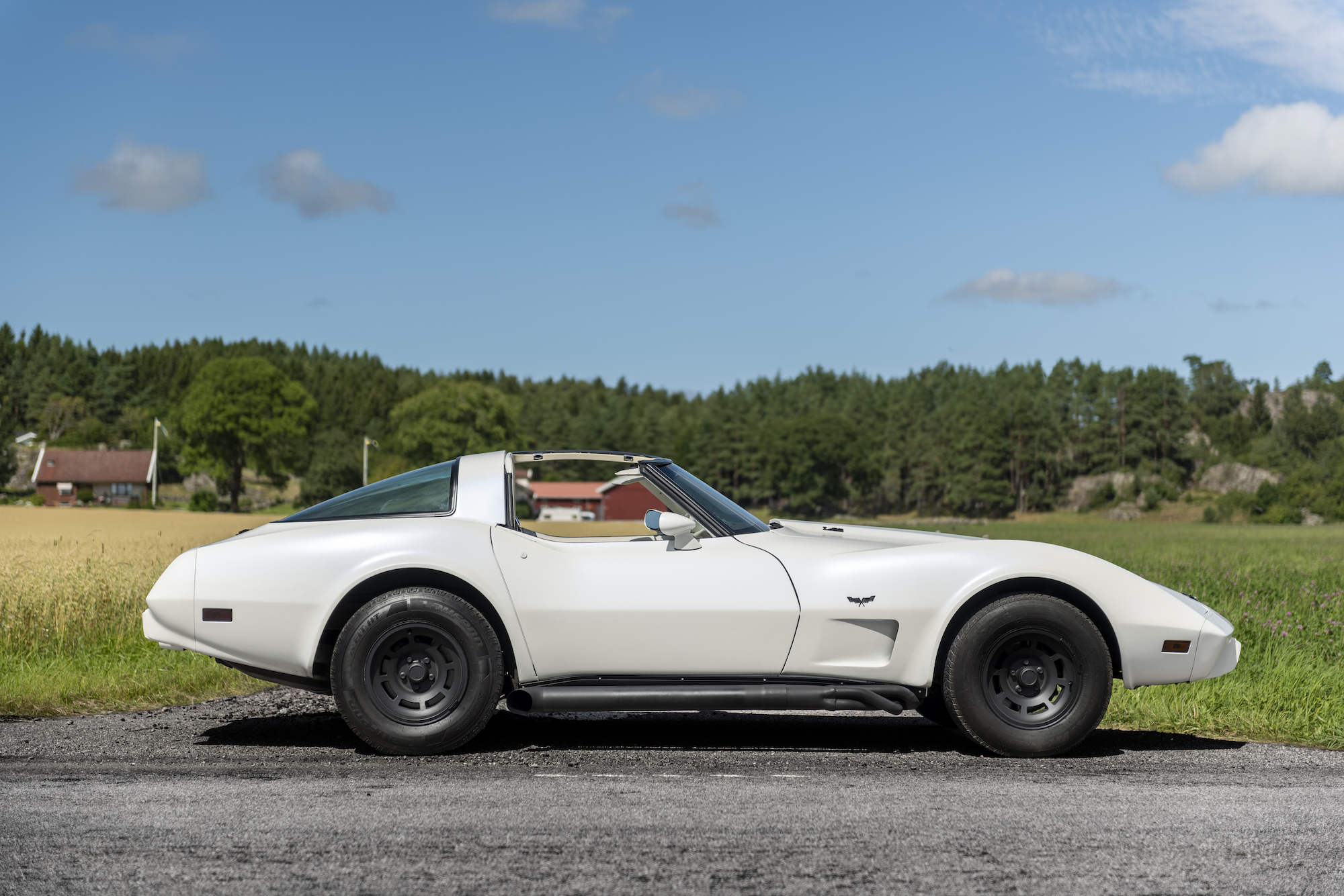 1978 CHEVROLET CORVETTE (C3)