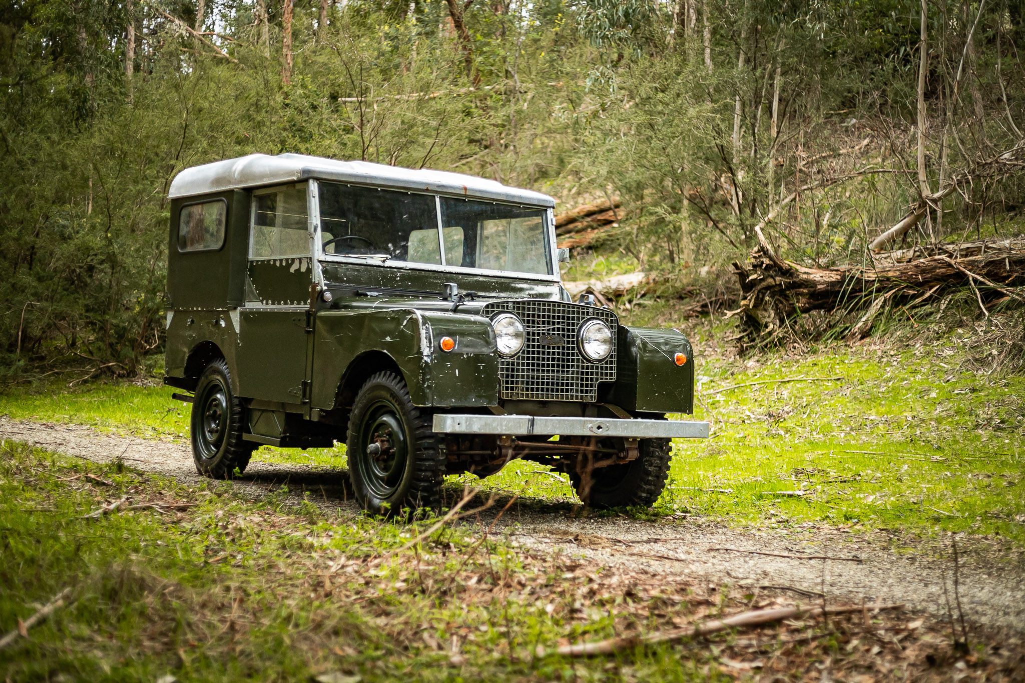1951 LAND ROVER SERIES 1 80" for sale by auction in Belgrave South, VIC ...