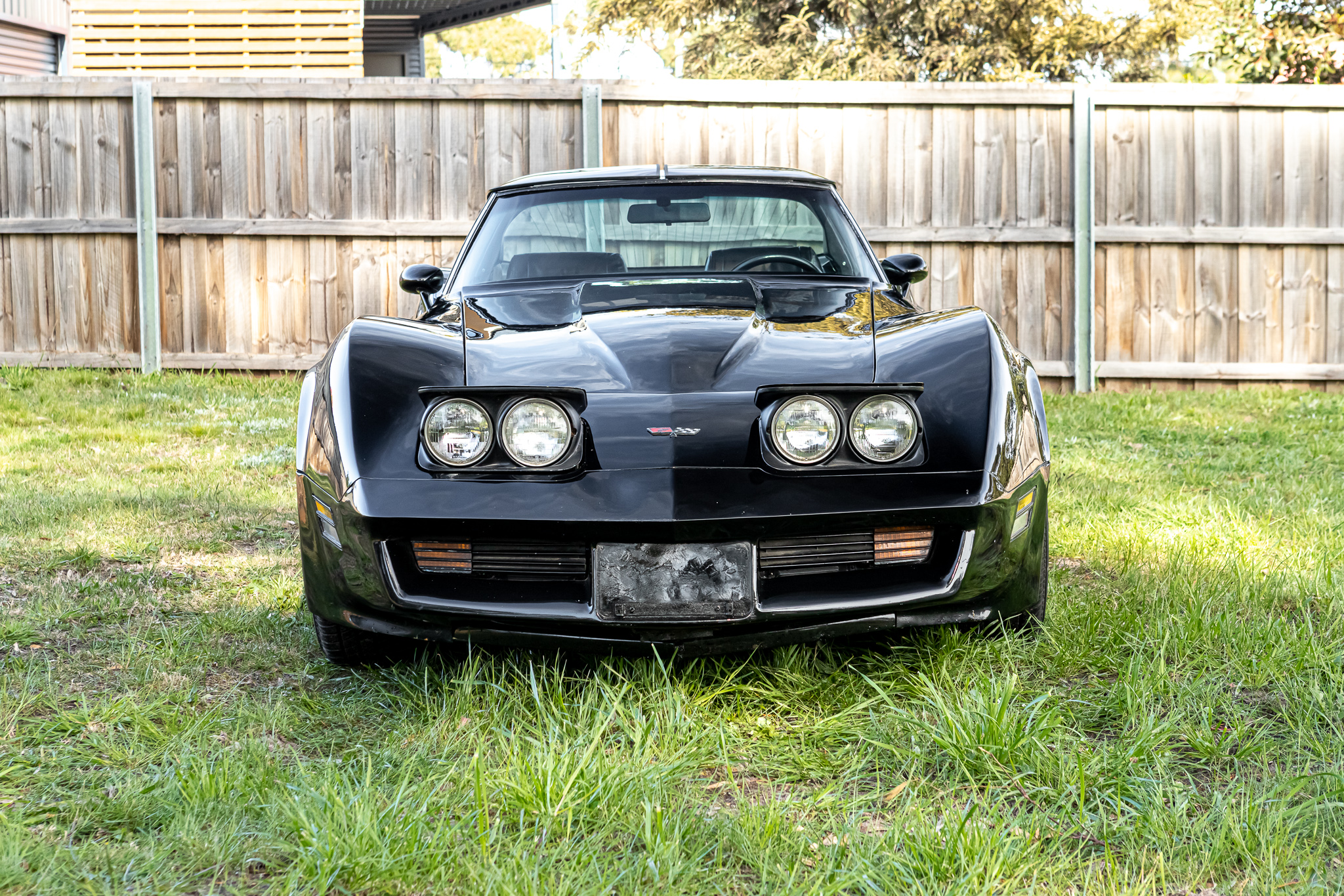 1980 CHEVROLET CORVETTE STINGRAY (C3)