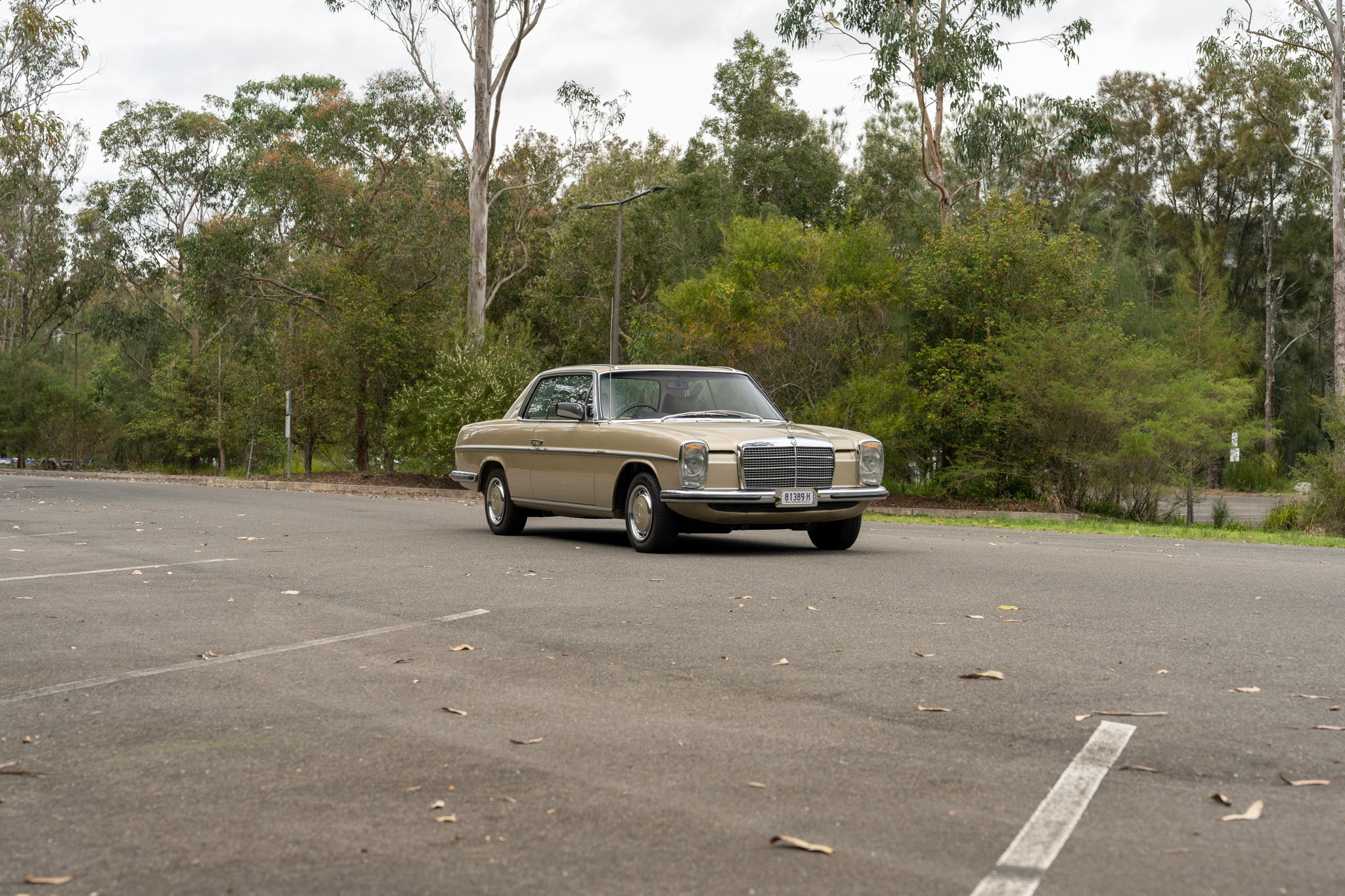 1975 MERCEDES-BENZ (W114) 280 CE COUPE for sale by auction in Belrose ...