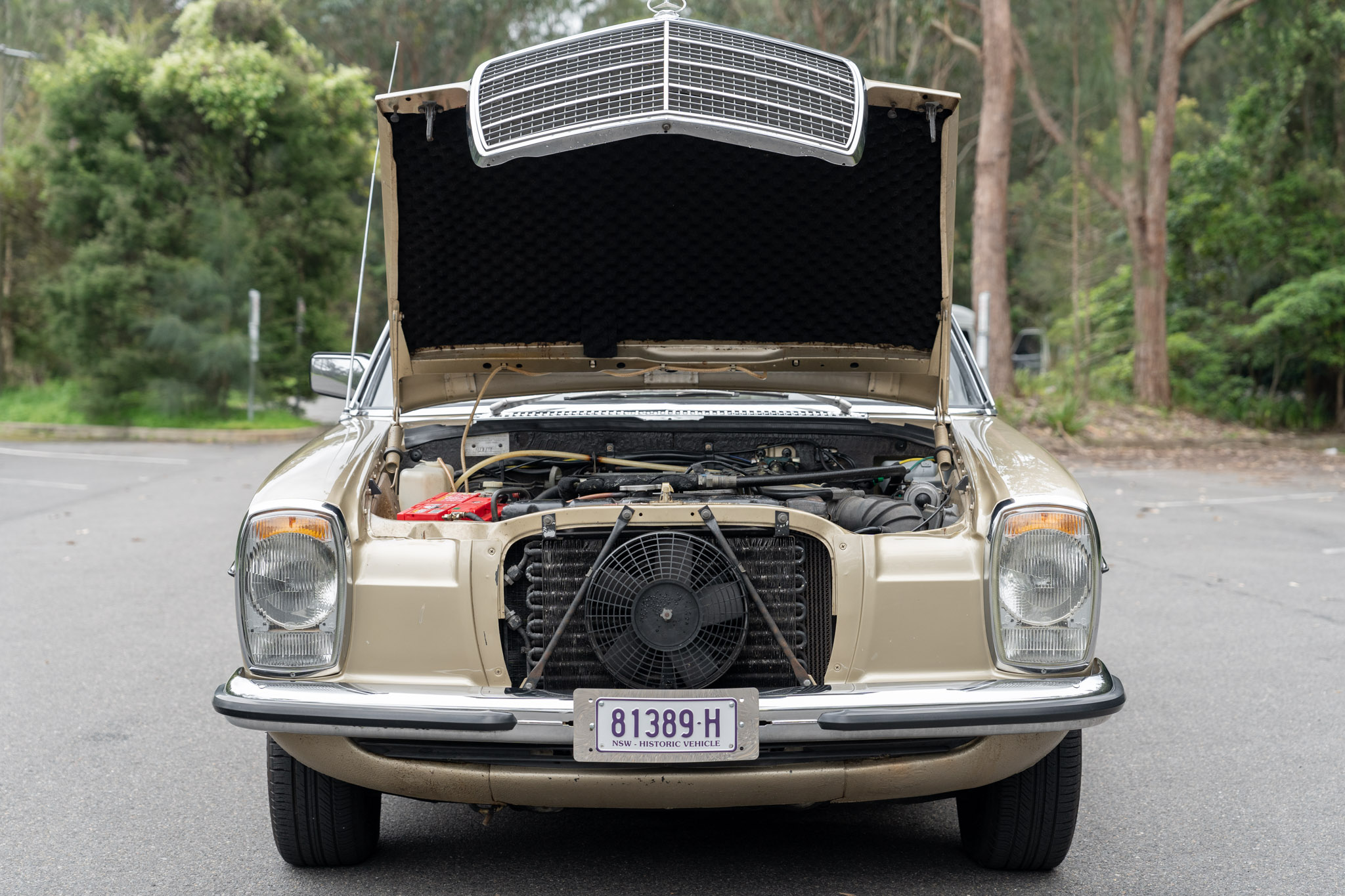 1975 MERCEDES-BENZ (W114) 280 CE COUPE for sale by auction in Belrose ...