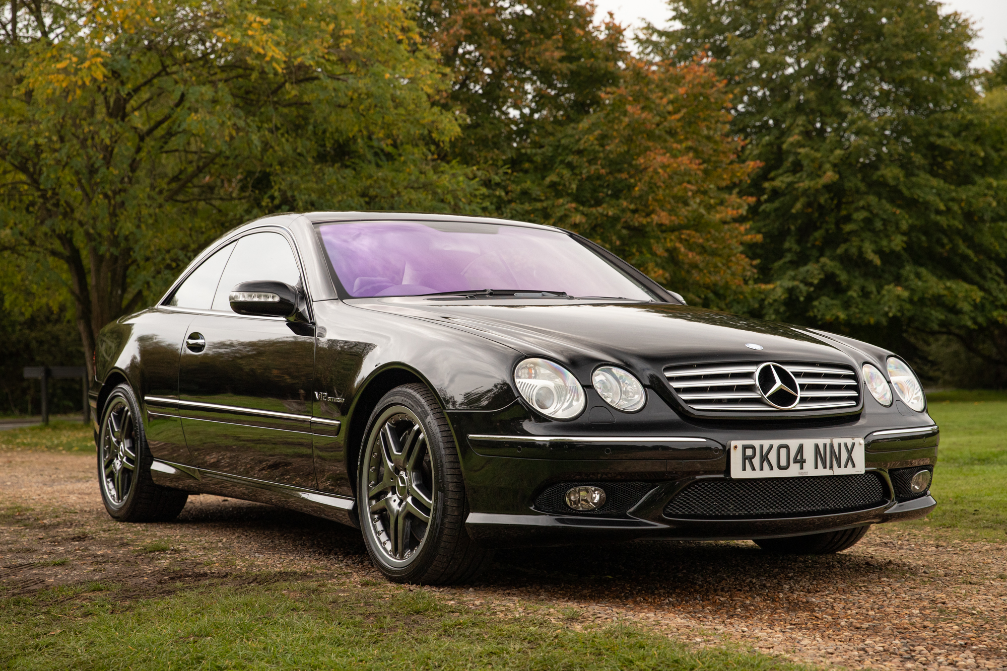 2004 MERCEDES-BENZ (C215) CL65 AMG